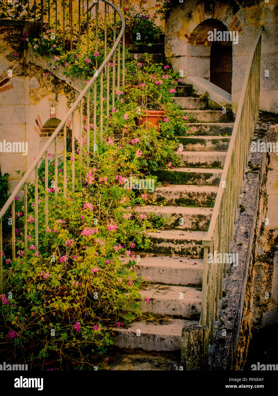 Ancient stone stairway, Versailles, Paris, France Stock Photo - Alamy