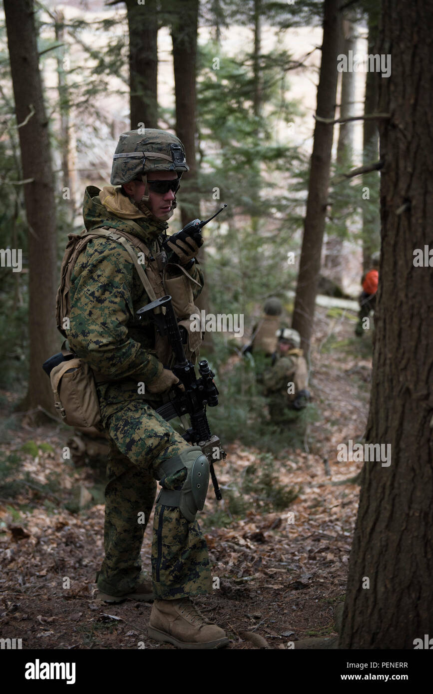 U.S. Marines with Charlie Company, 1st Battalion, 25th Marine Regiment ...