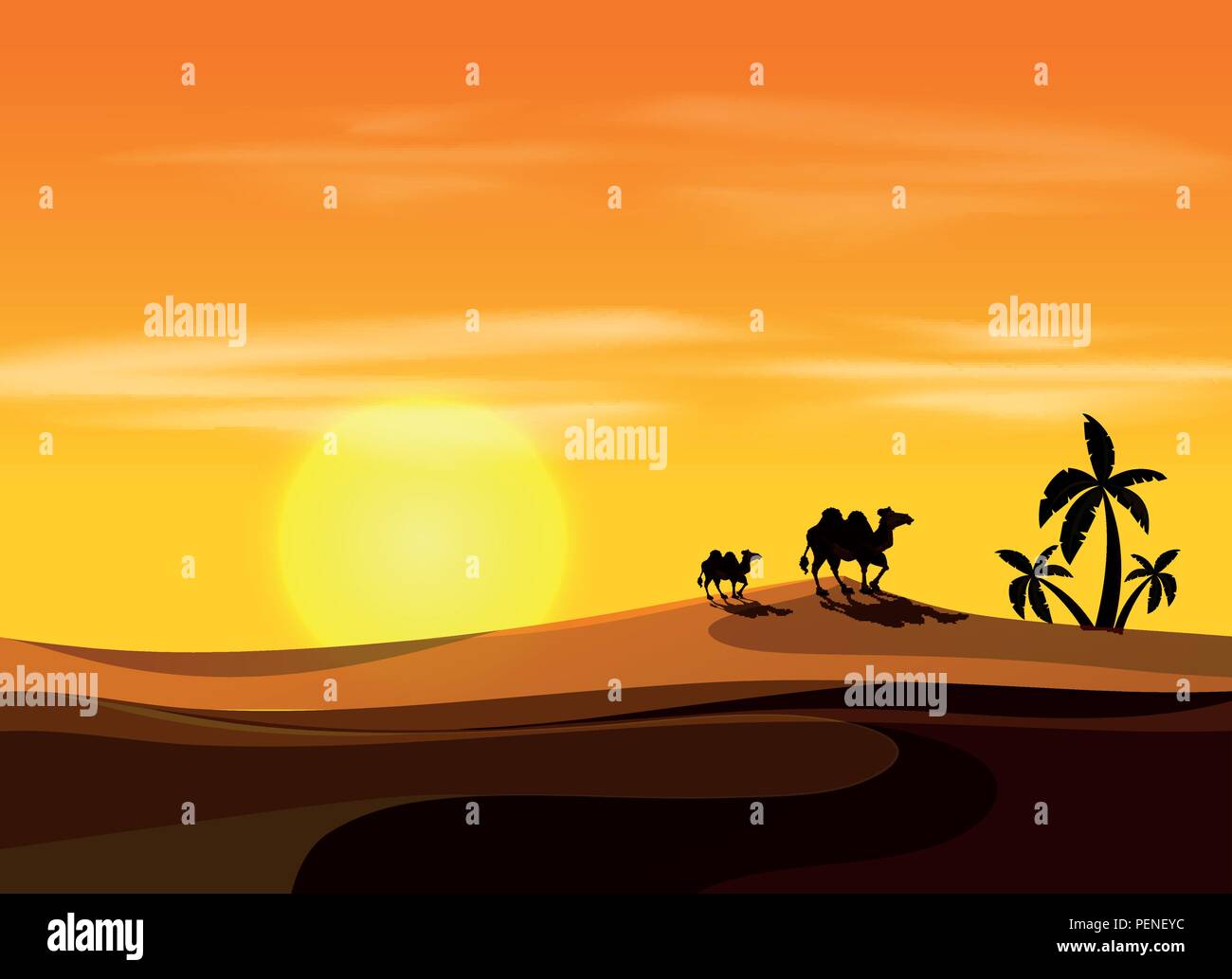 Camel at sunset desert illustration Stock Vector Image & Art - Alamy