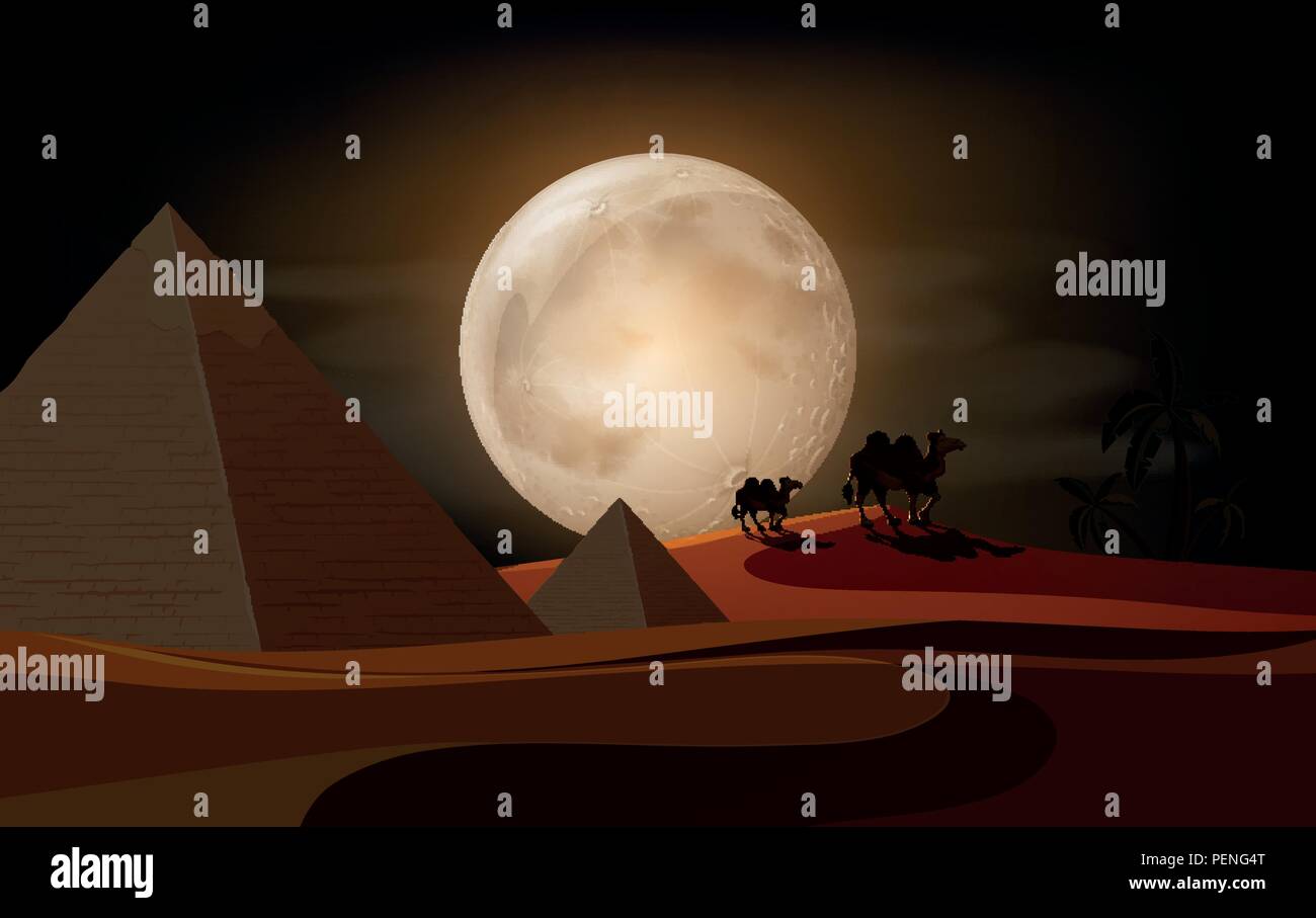 A beautiful desert at night illustration Stock Vector Image & Art - Alamy
