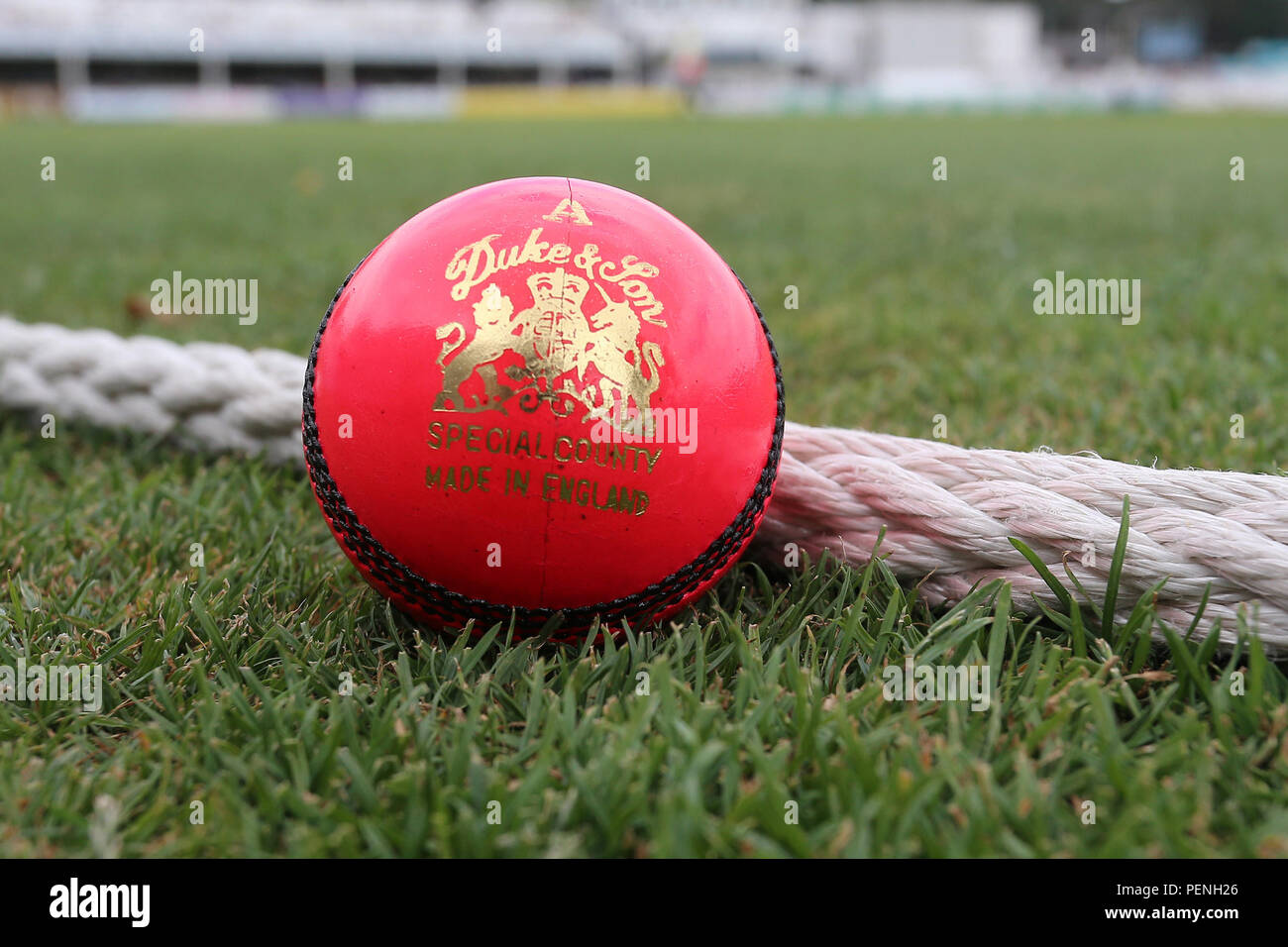 A Duke & Son pink day-night ball down by the boundary during Essex CCC ...
