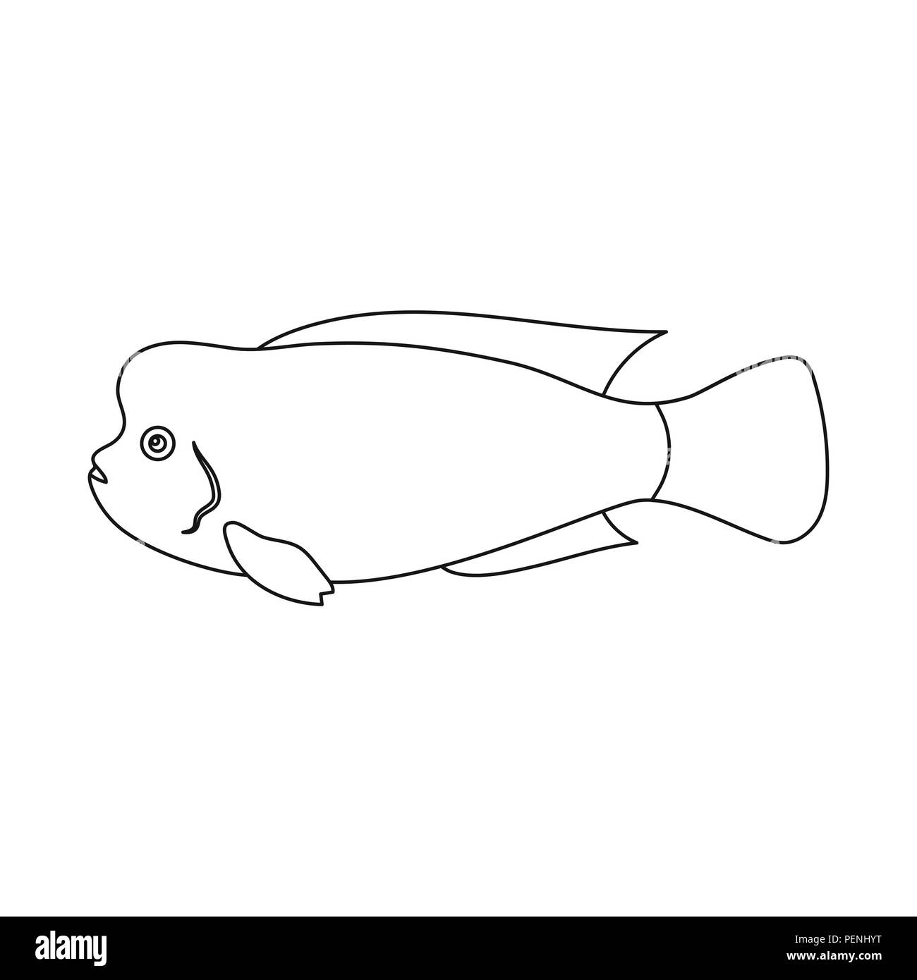 Lion headed fish Black and White Stock Photos & Images - Alamy