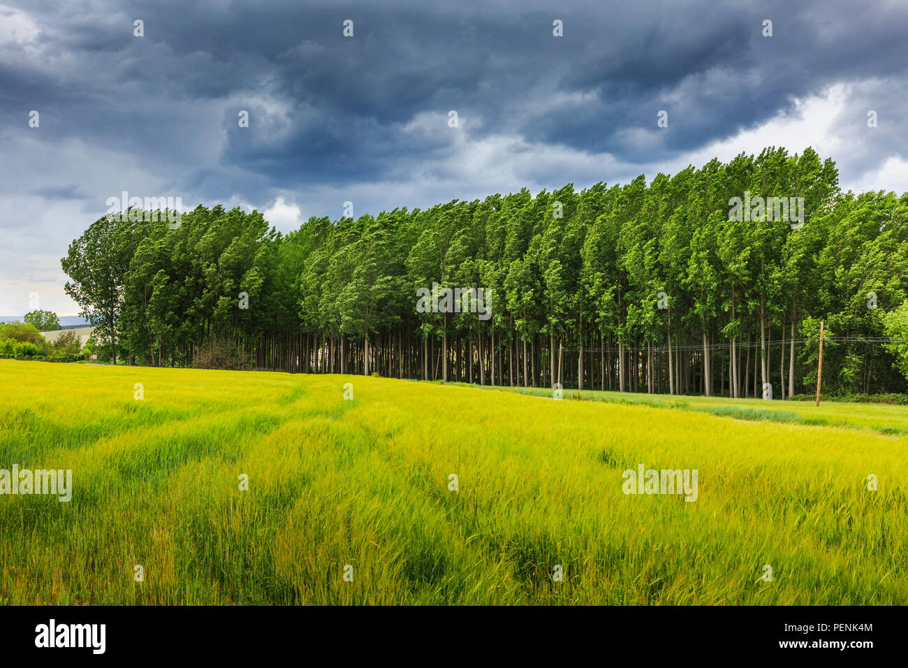 Flora grove hi-res stock photography and images - Alamy