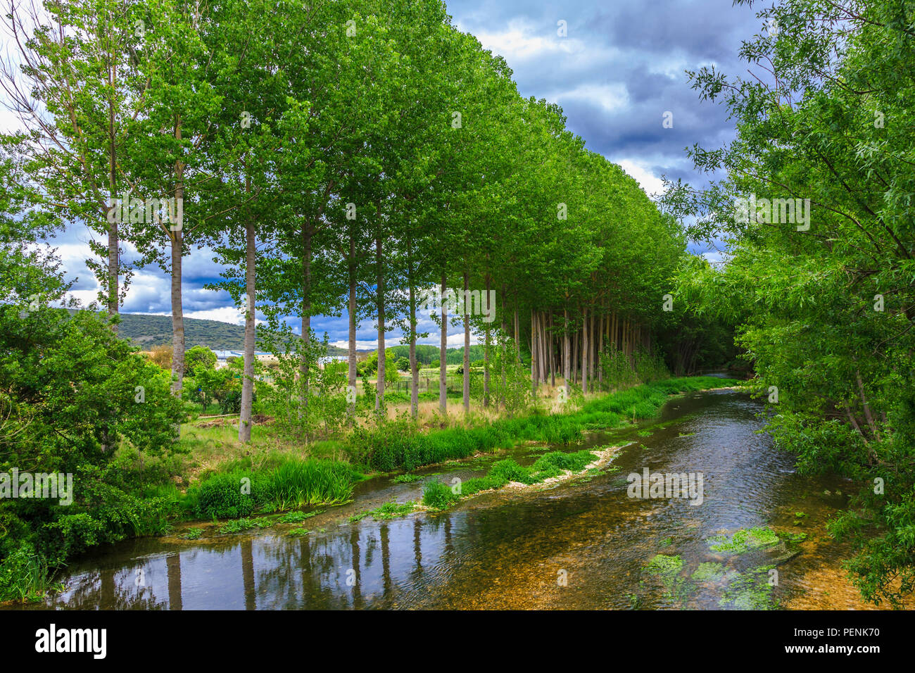 Murieta hi-res stock photography and images - Alamy