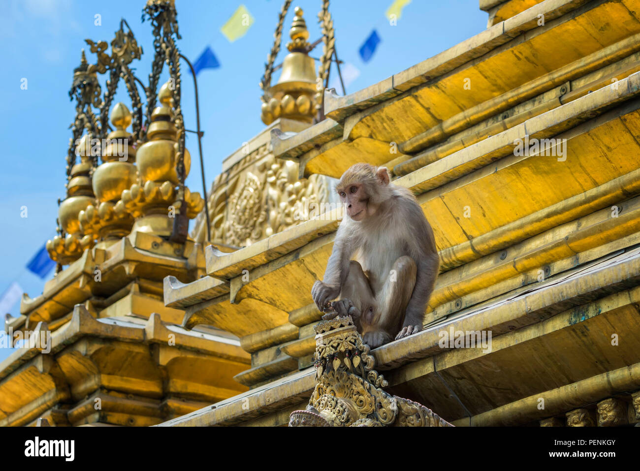 Kathmandu - Monkey Temple Stock Photo - Alamy