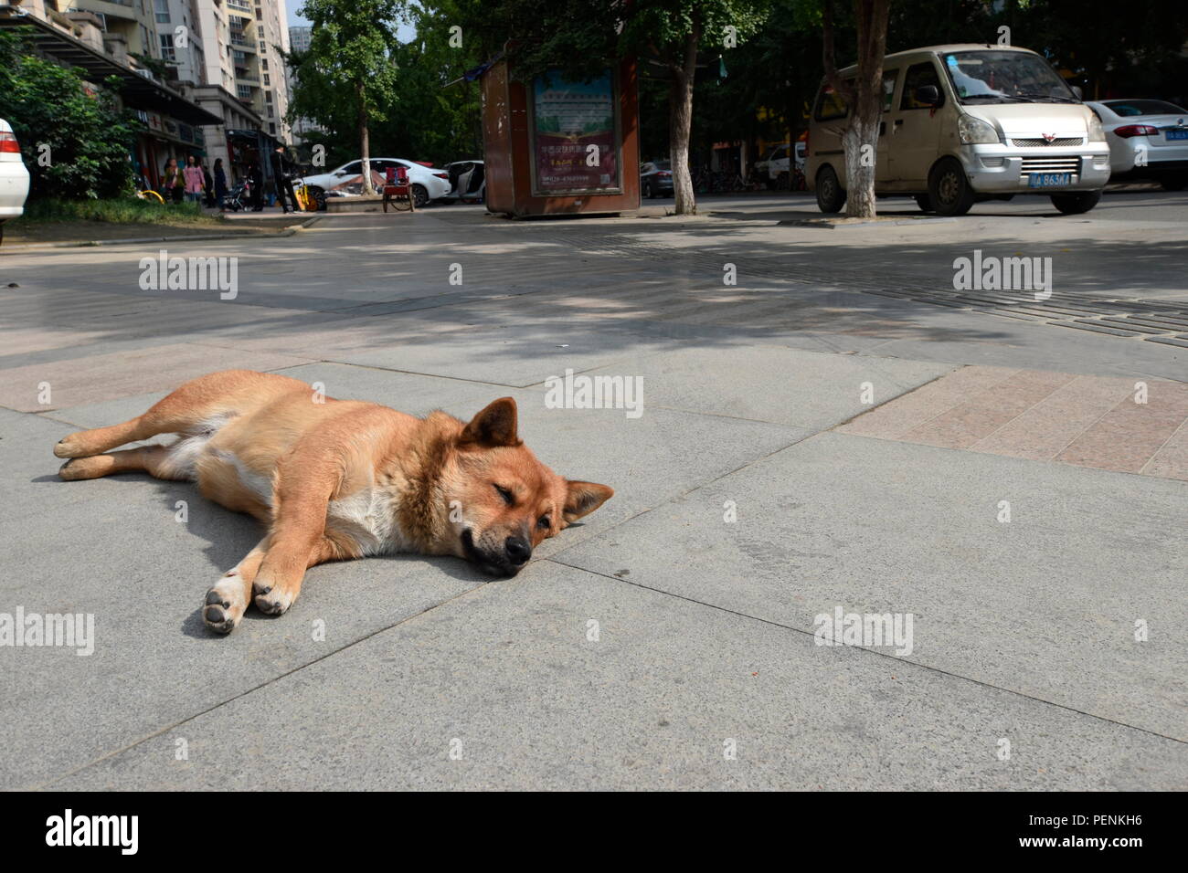 Cheng du outdoor hi-res stock photography and images - Alamy