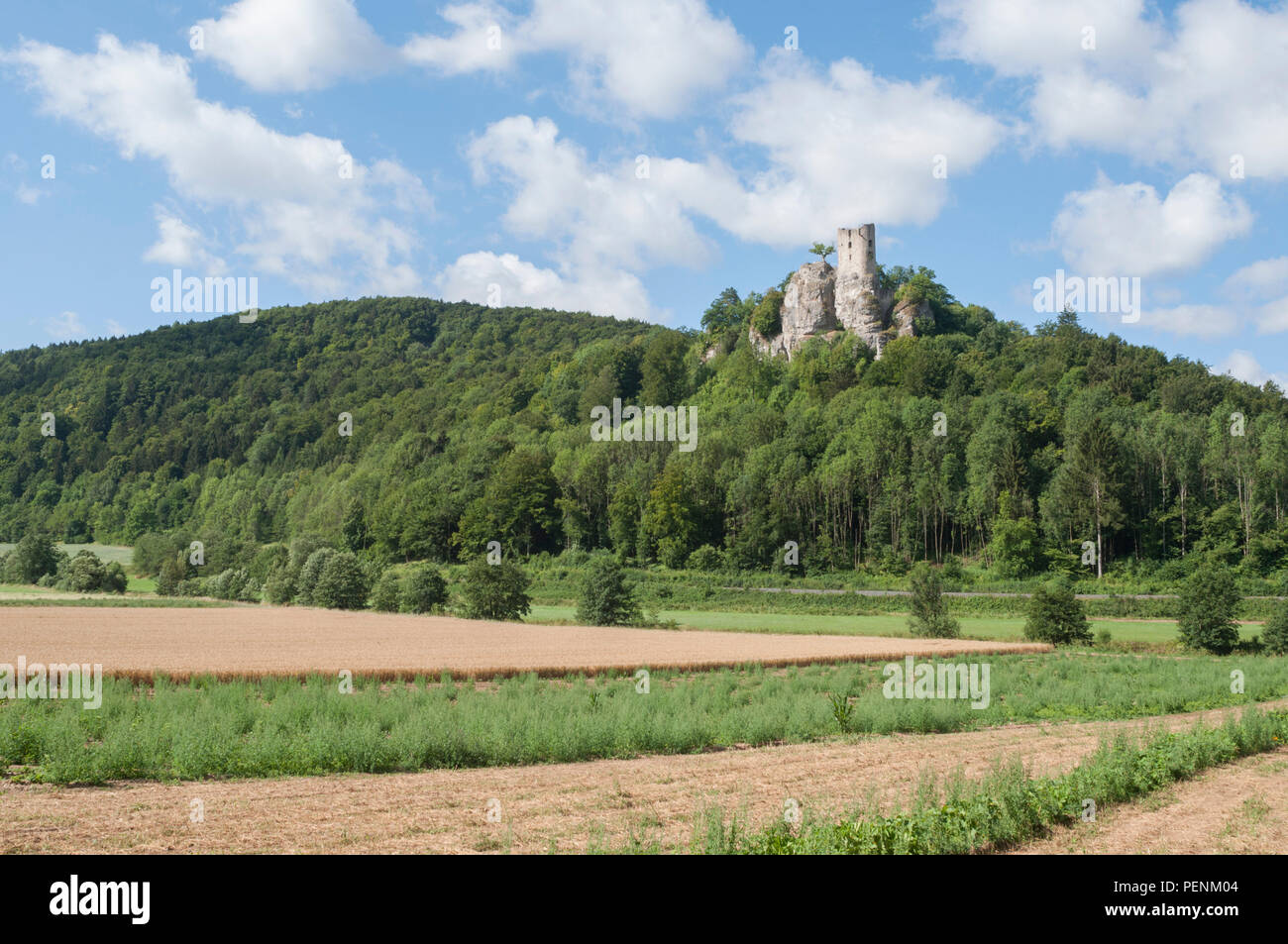 Wiesent hi-res stock photography and images - Alamy