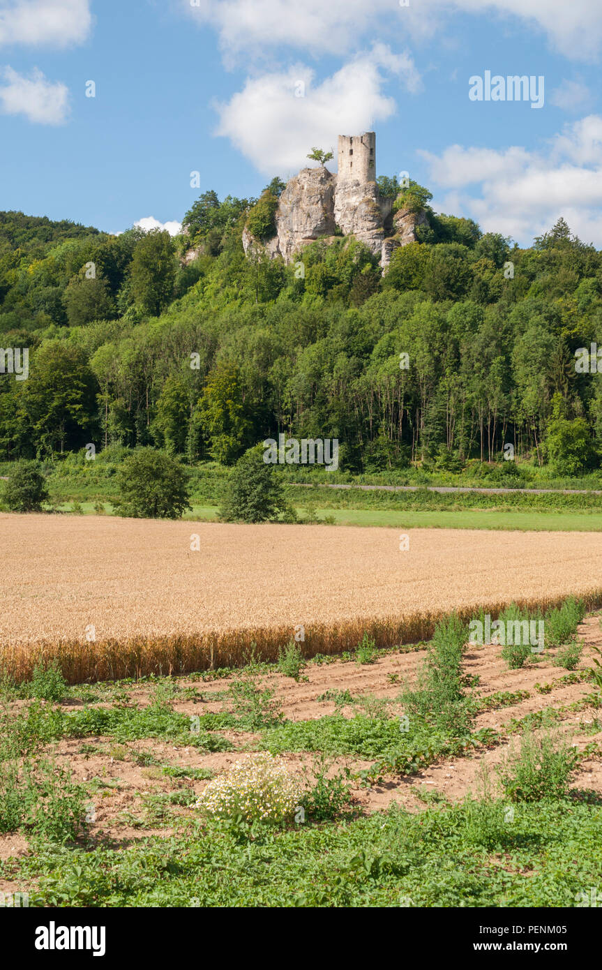 castle ruin neideck, wiesent valley, Streitberg, franconian suisse ...