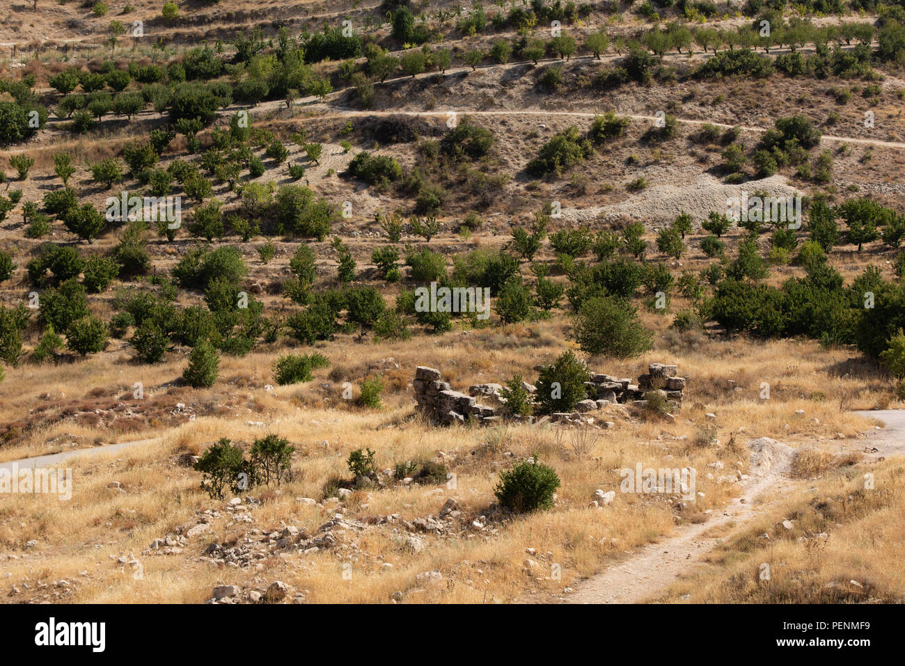 Niha temple hi-res stock photography and images - Alamy