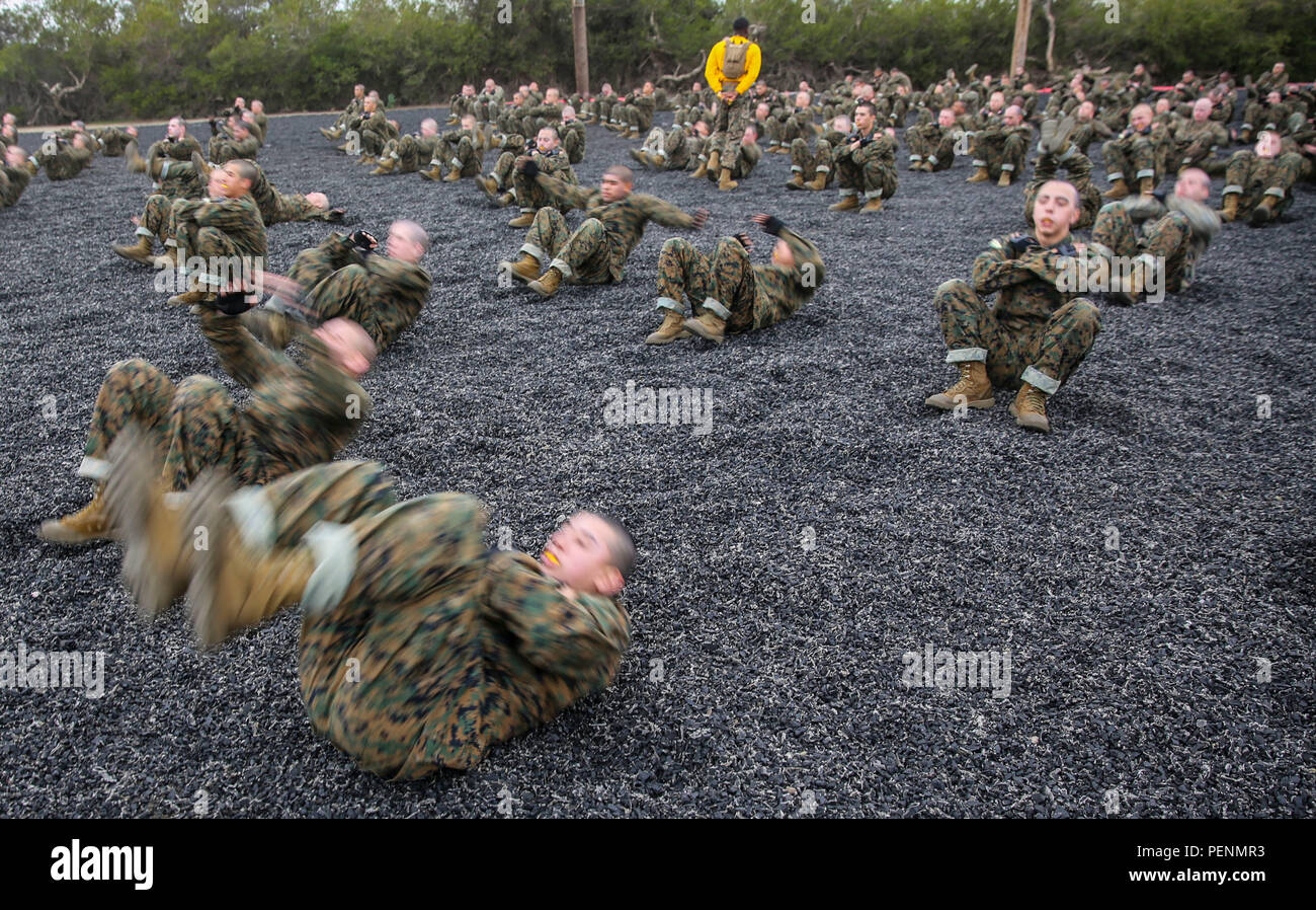 Levels of gray hi-res stock photography and images - Alamy