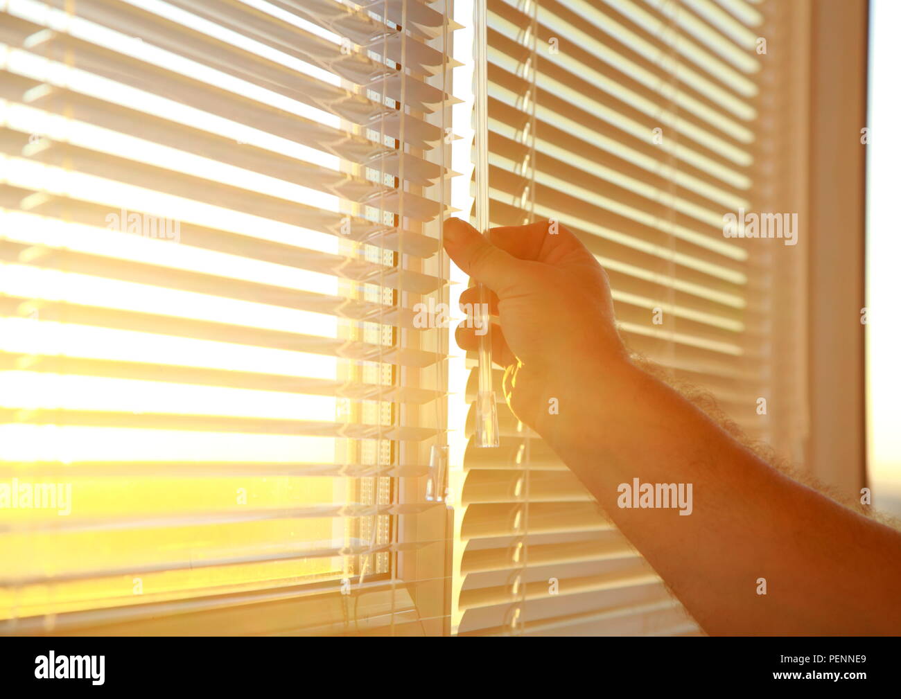 Man's hand opens the horizontal blinds on the Windows Stock Photo - Alamy