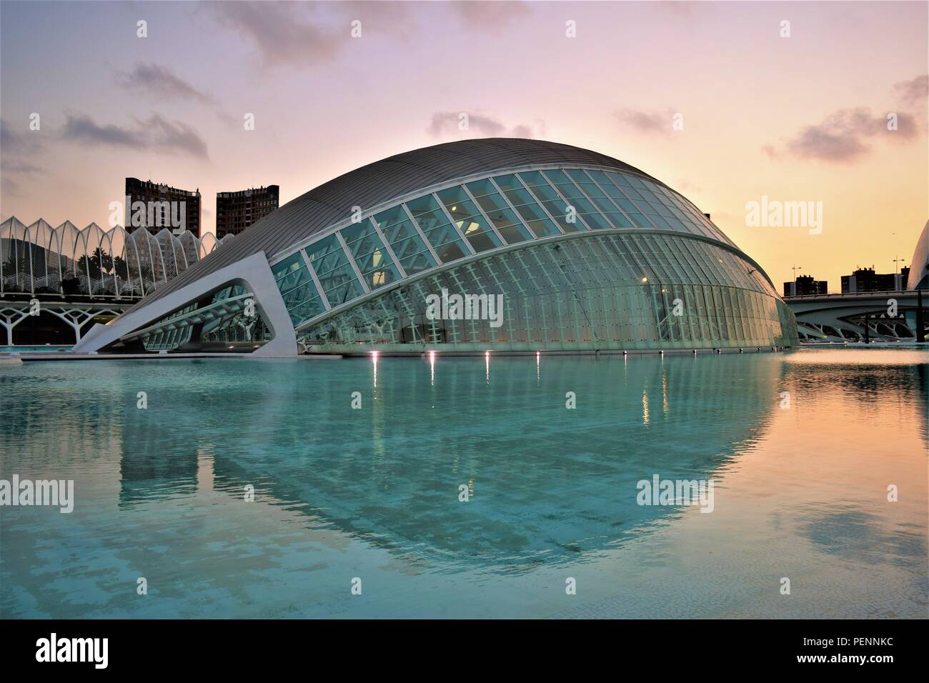 Valencia art and science center by Architect Santiago Calatrava is a ...