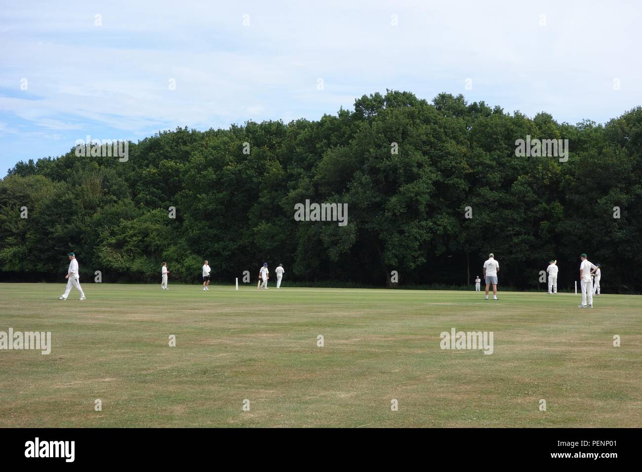 cricket at Bell Common Epping Essex UK played on Epping Foresters ...