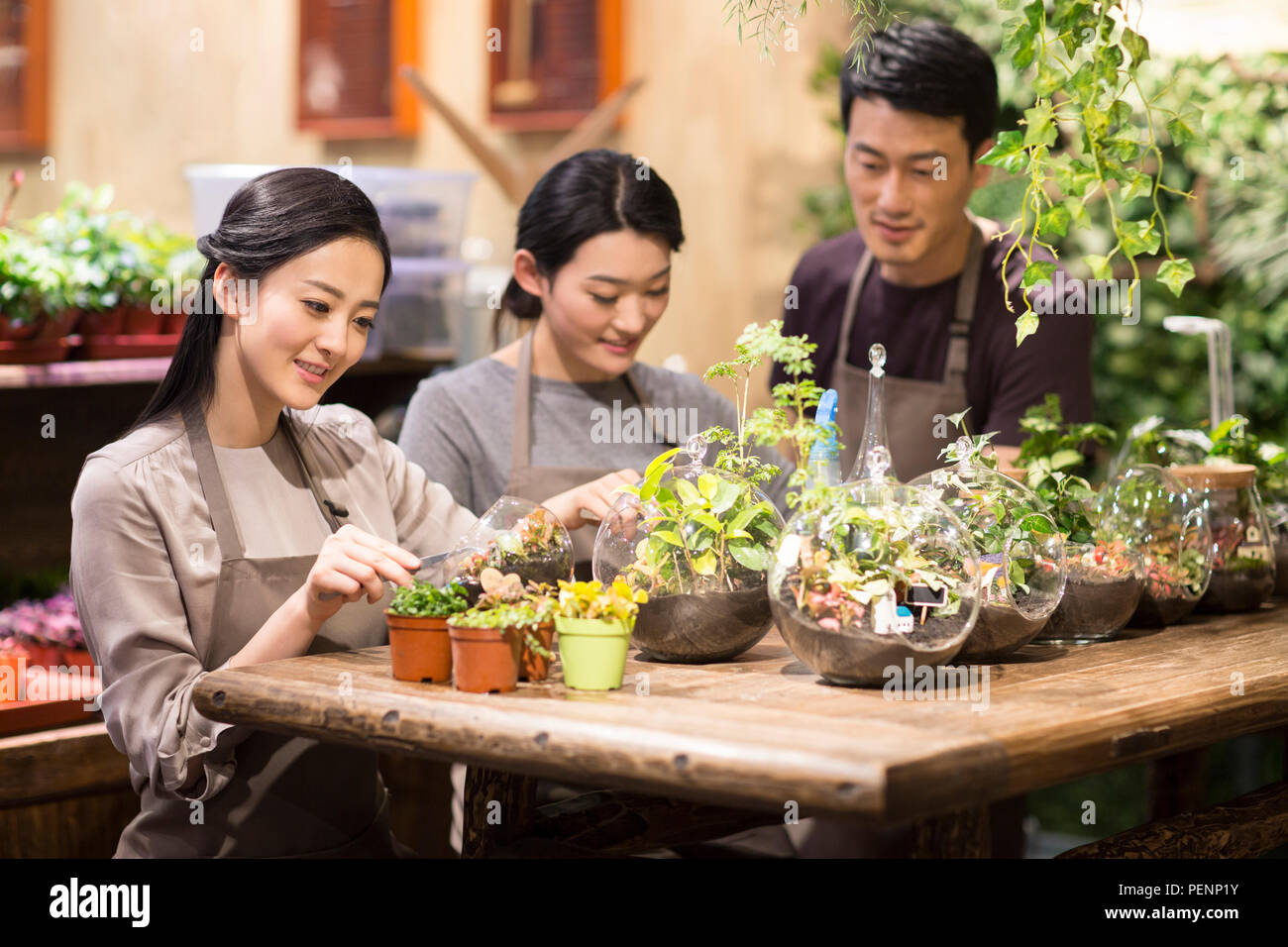 Happy young colleagues working in plant shop Stock Photo - Alamy