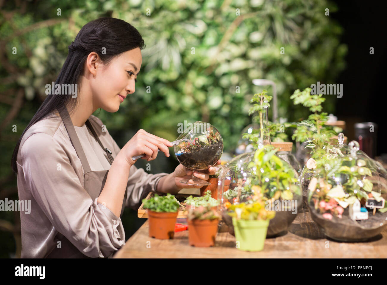 Tweezers holding plant leaf hi-res stock photography and images - Alamy