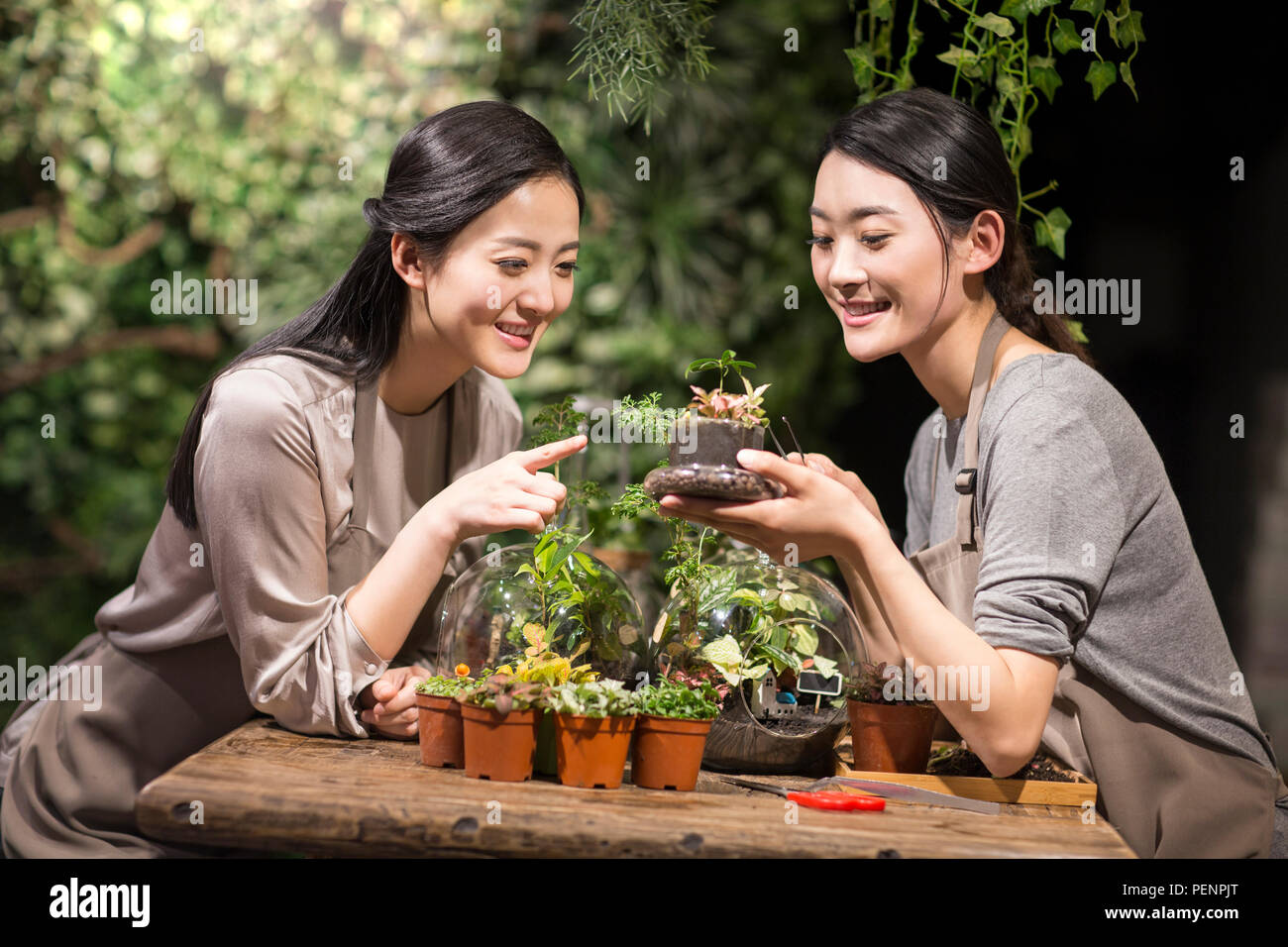Young women working in plant shop Stock Photo - Alamy