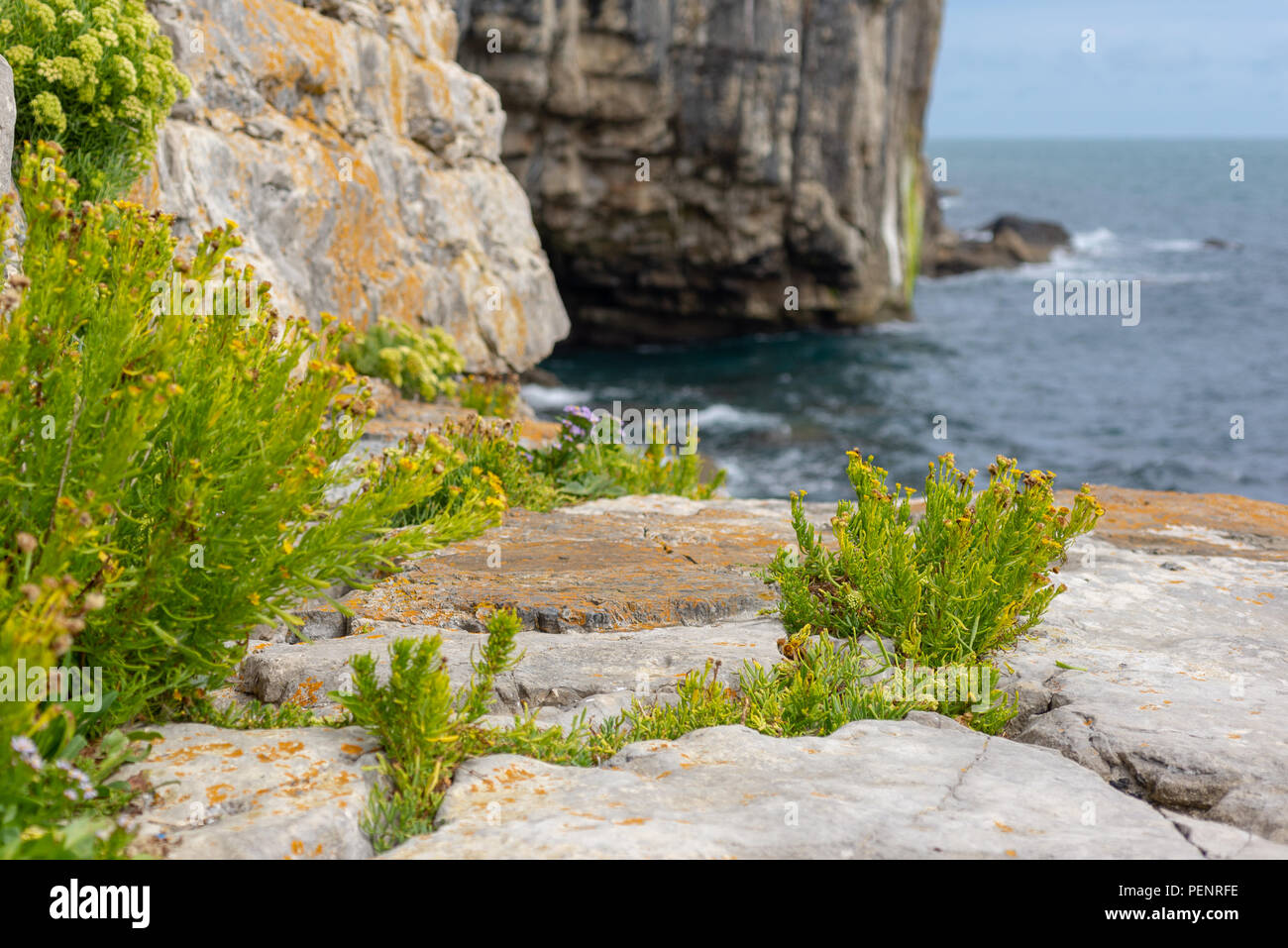 Dancing ledge dorset hi-res stock photography and images - Alamy