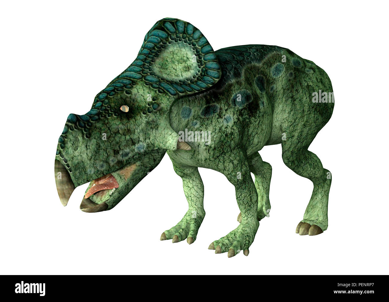 3D rendering of a dinosaur Protoceratops isolated on white background ...