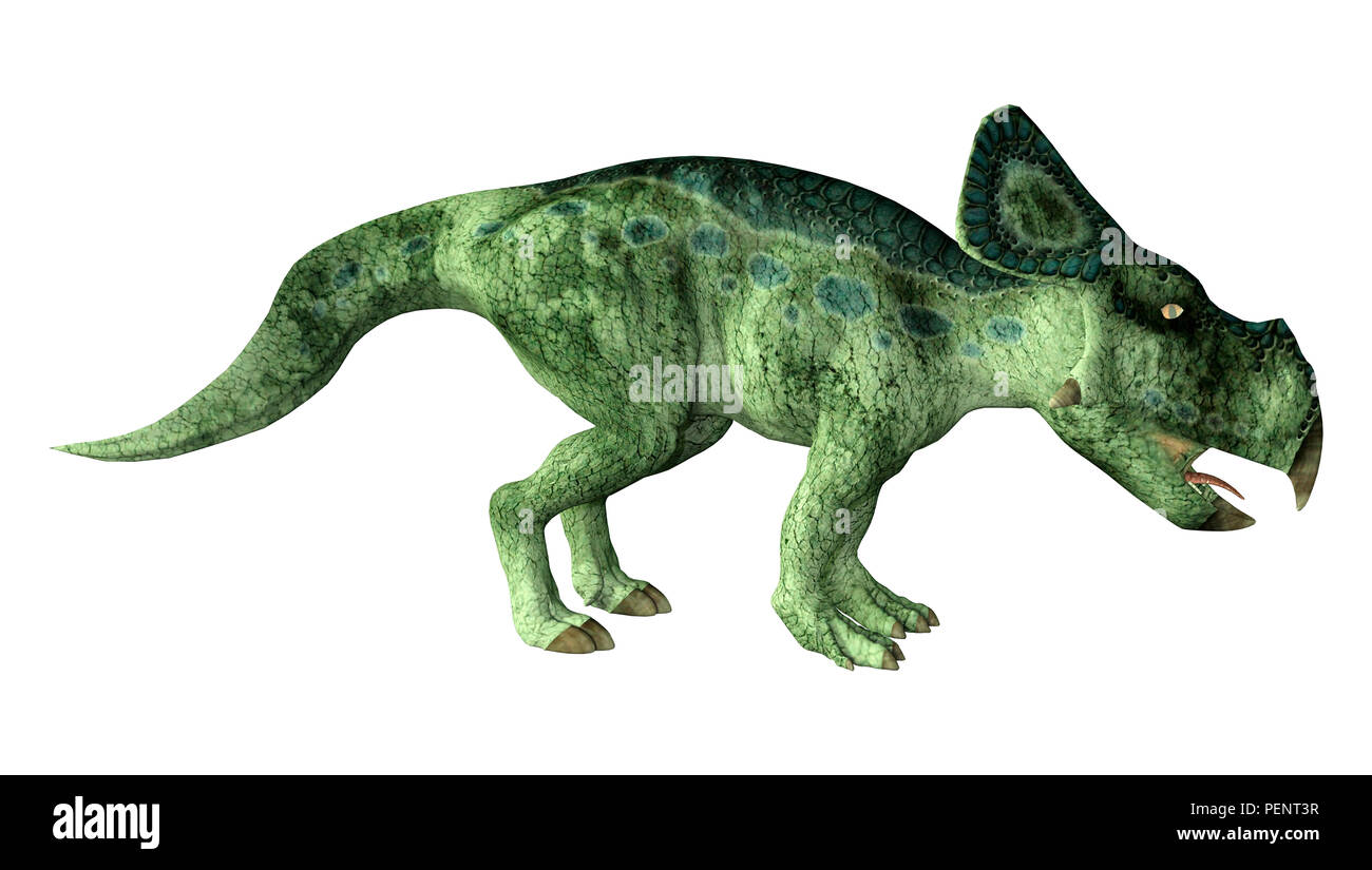3D rendering of a dinosaur Protoceratops isolated on white background ...