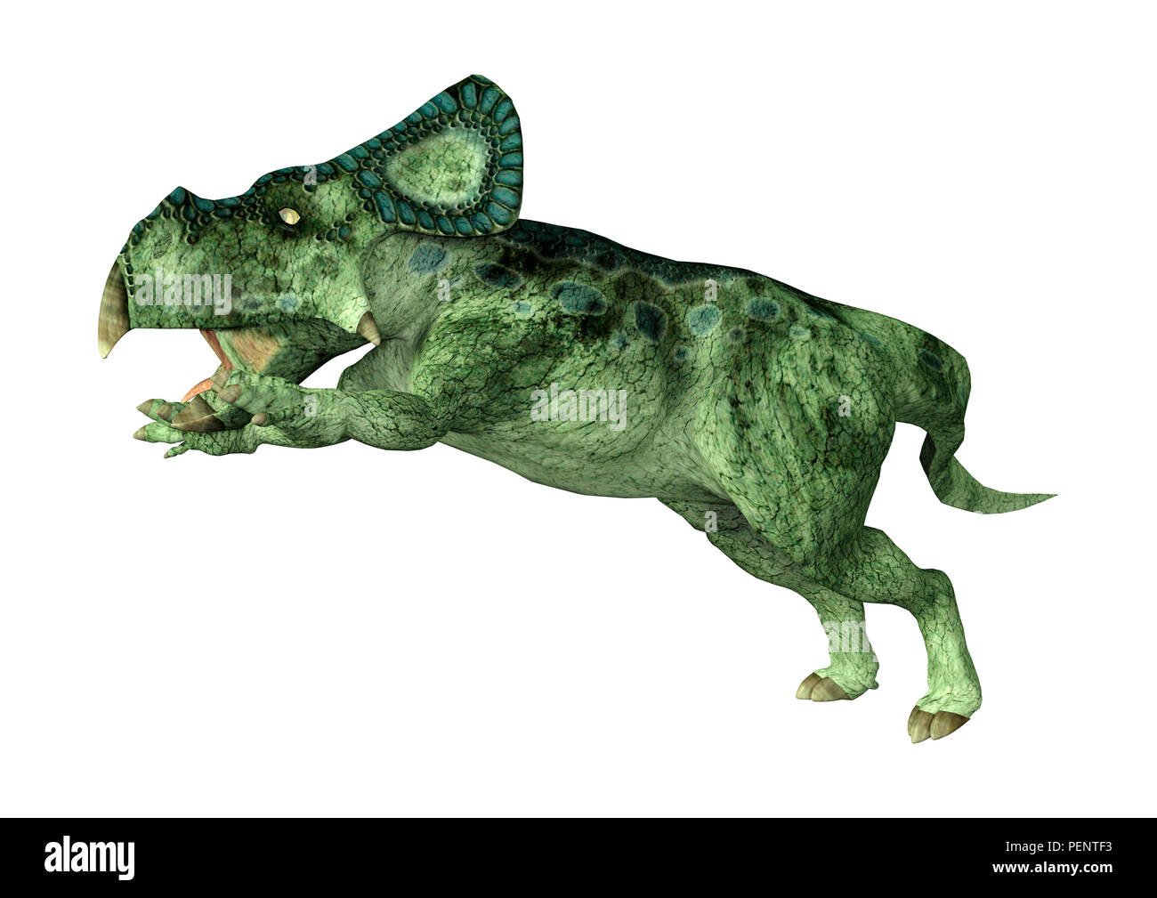 3D rendering of a dinosaur Protoceratops isolated on white background ...