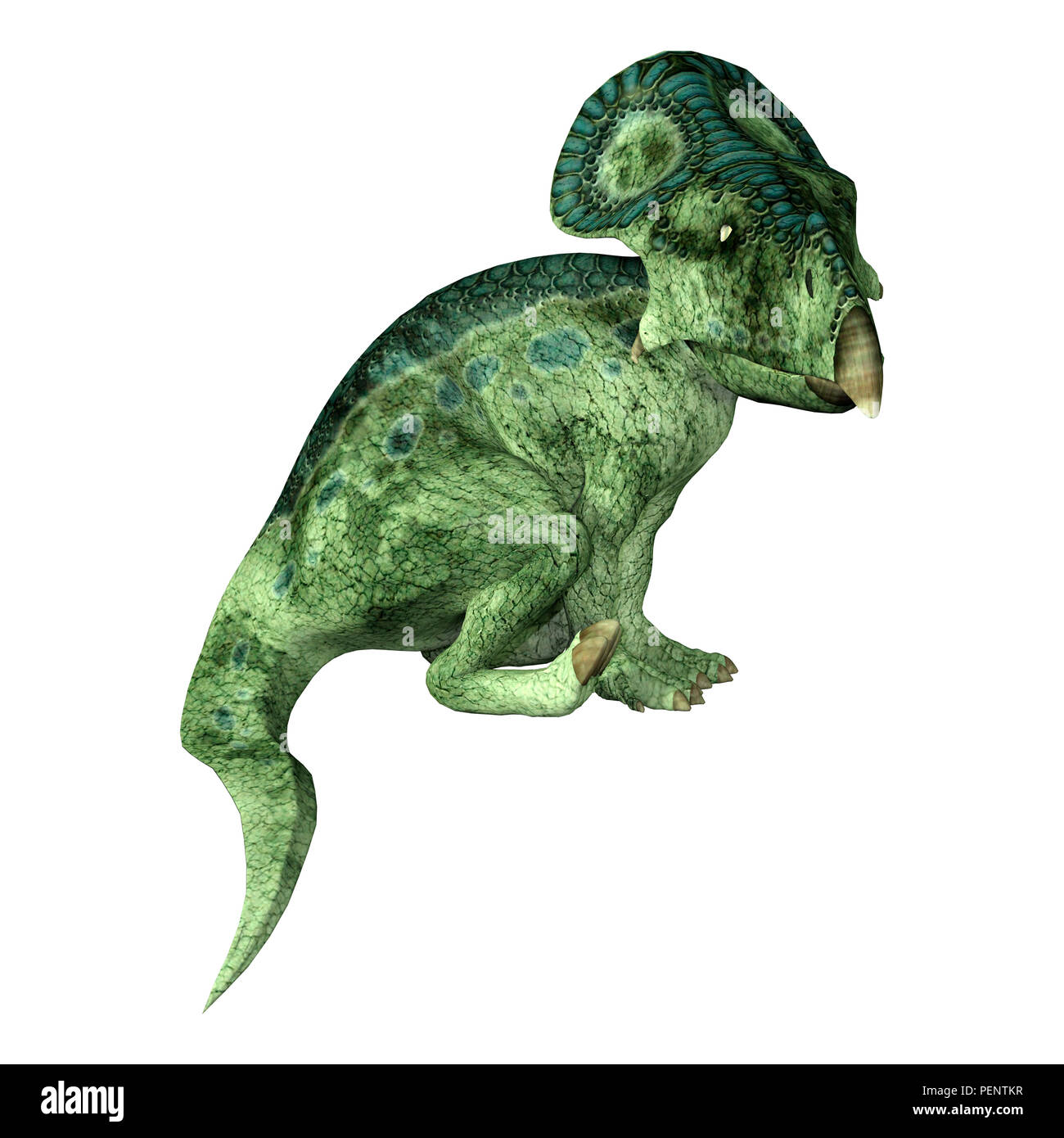 3D rendering of a dinosaur Protoceratops isolated on white background ...