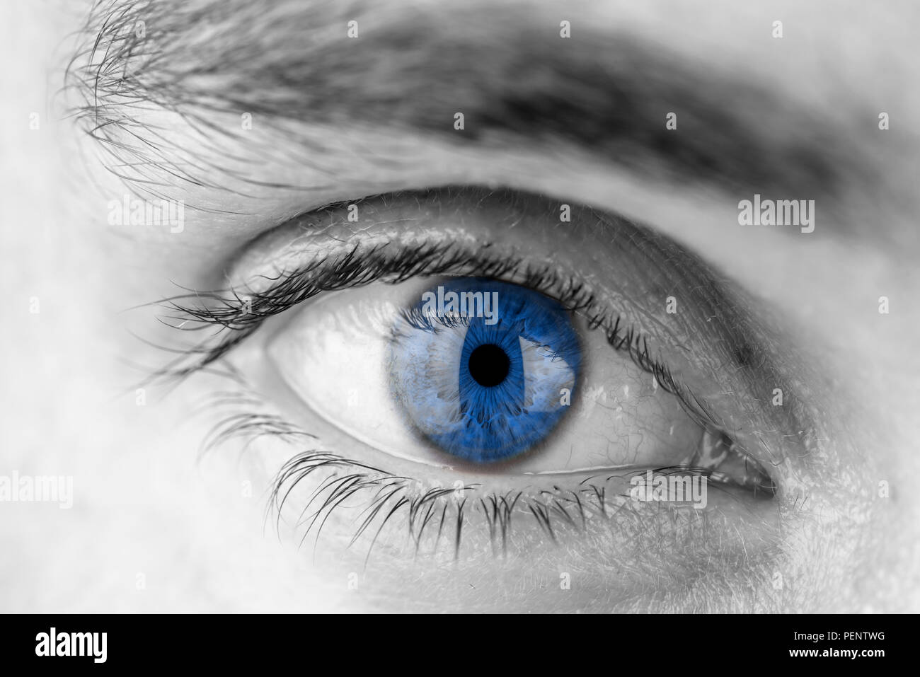Closeup of human eye with blue pupil Stock Photo - Alamy