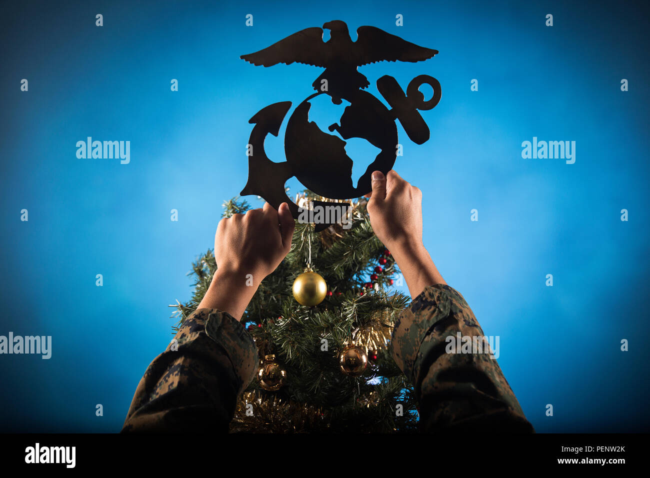 Sgt. Erik Estrada, a U.S. Marine Corps Forces, Pacific mass ...