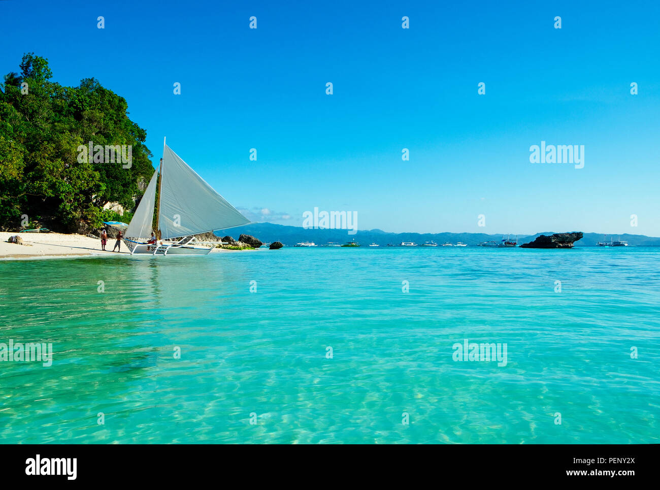 Southeast asia marine life hi-res stock photography and images - Alamy