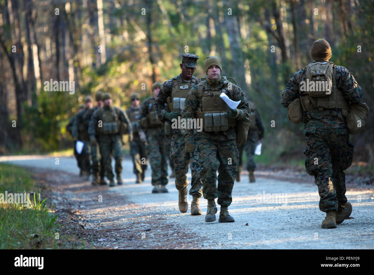 Marines with Marine Wing Support Squadron 274’s Engineer Company, Heavy ...