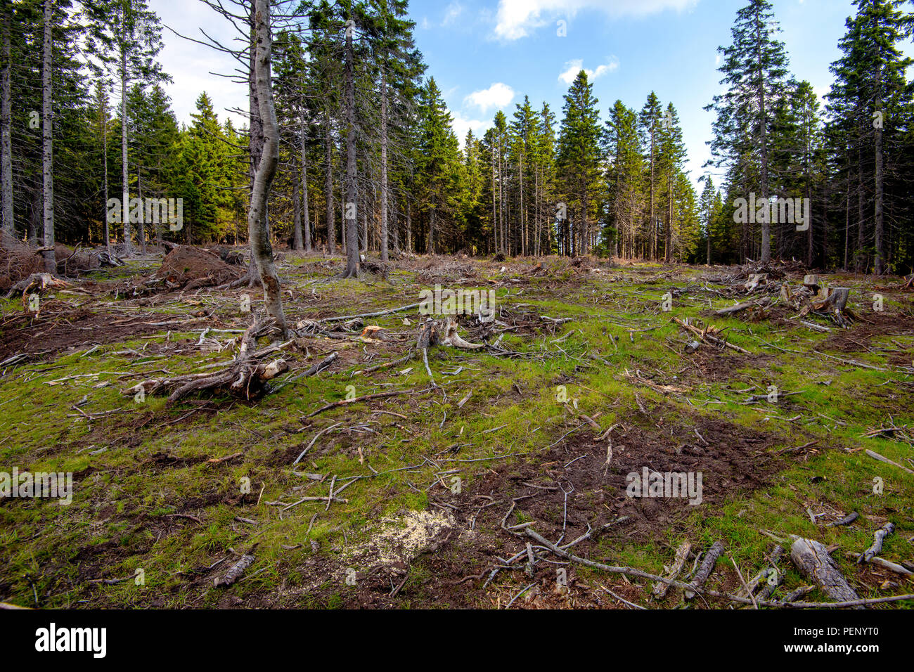 Devastation devastated hi-res stock photography and images - Alamy