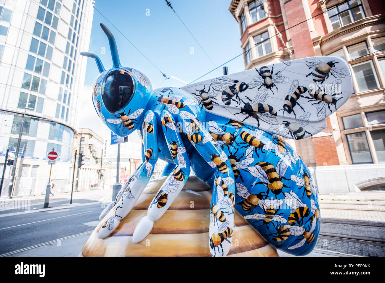 Bee in the City. Manchester. United Kingdom Stock Photo - Alamy