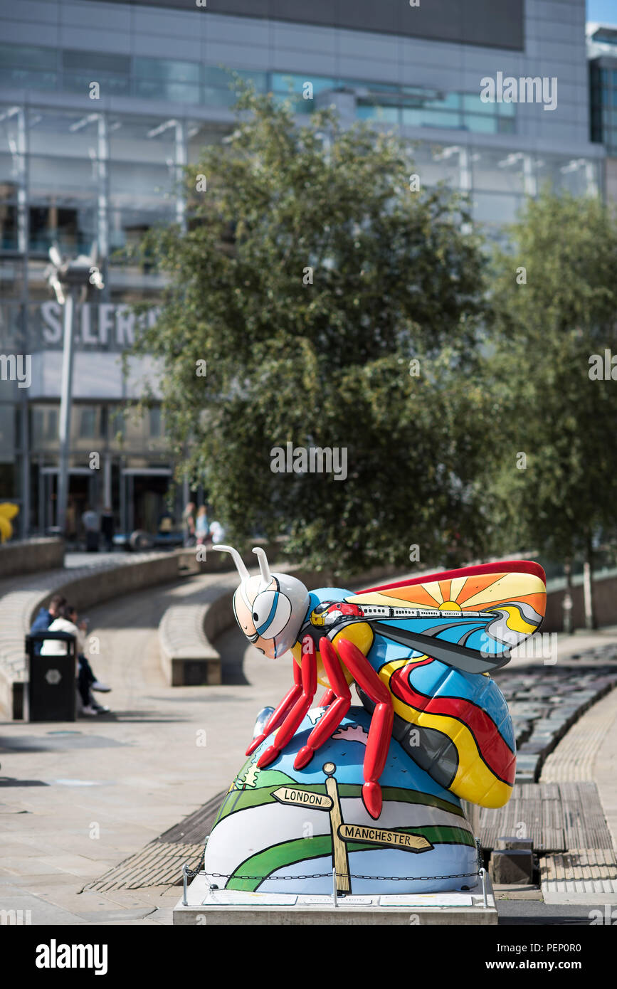 Bee in the City. Manchester. United Kingdom Stock Photo - Alamy