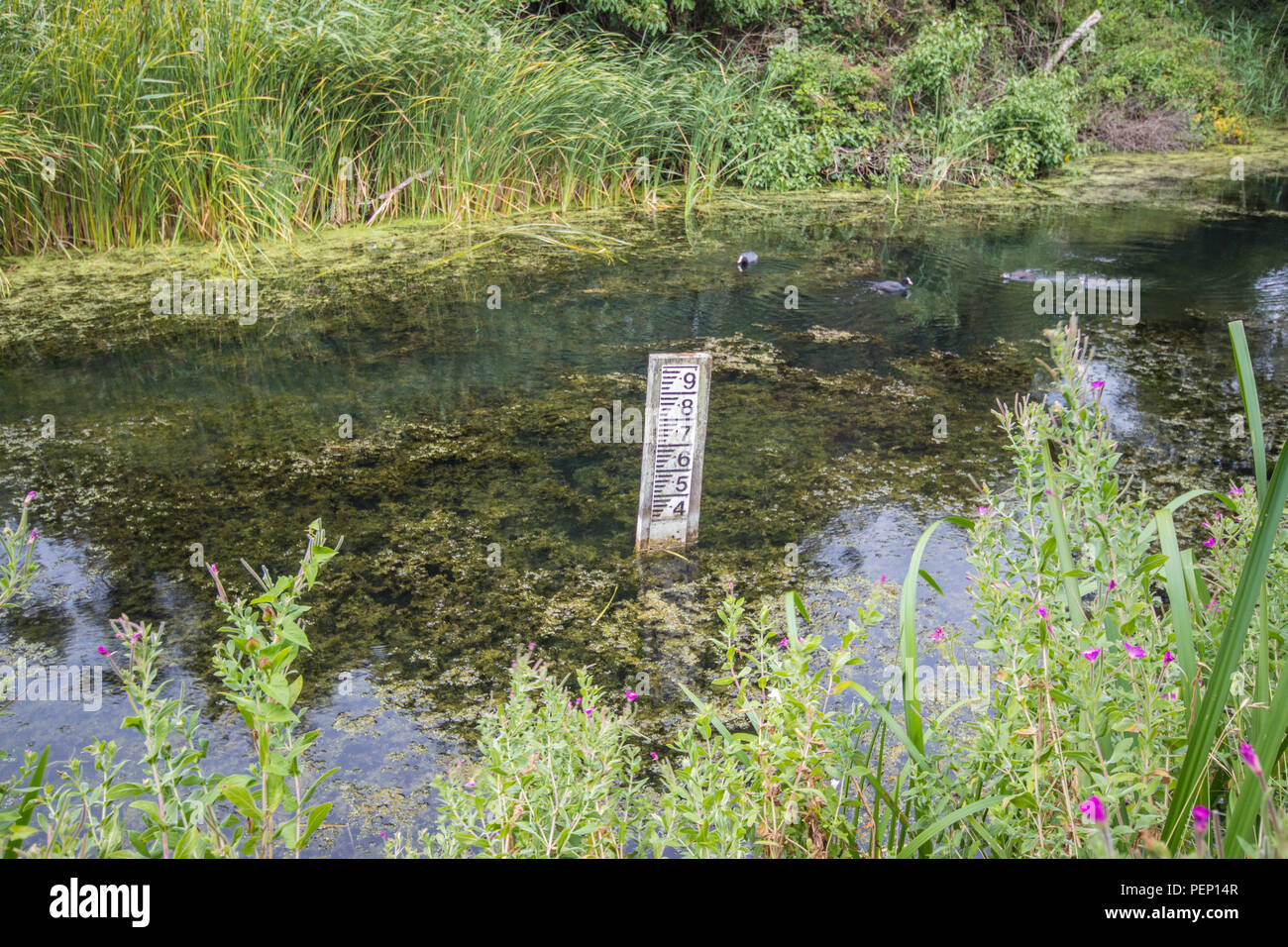 Depth gauge board hi-res stock photography and images - Alamy