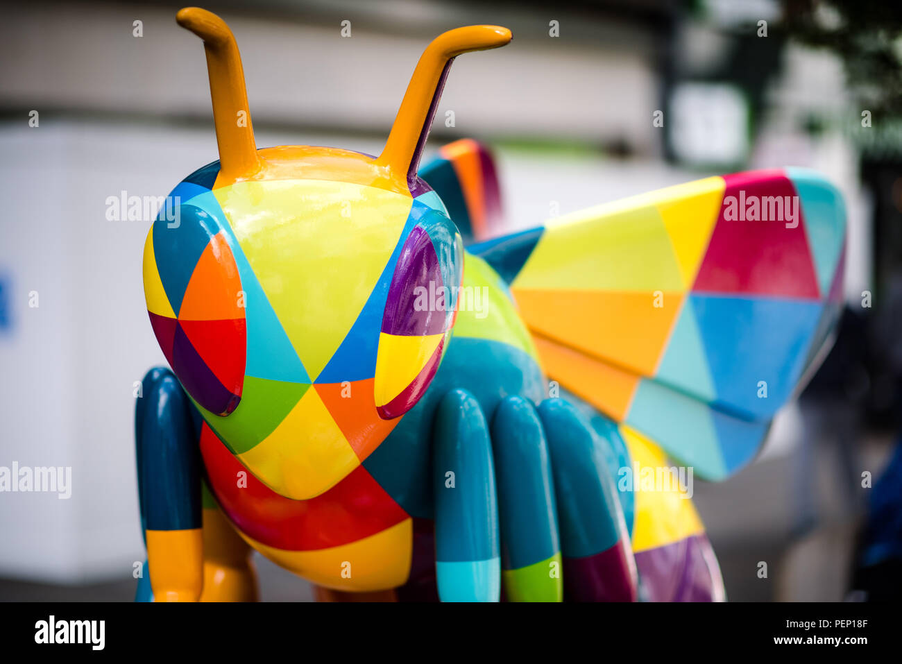 Bee in the City. Manchester. United Kingdom Stock Photo - Alamy