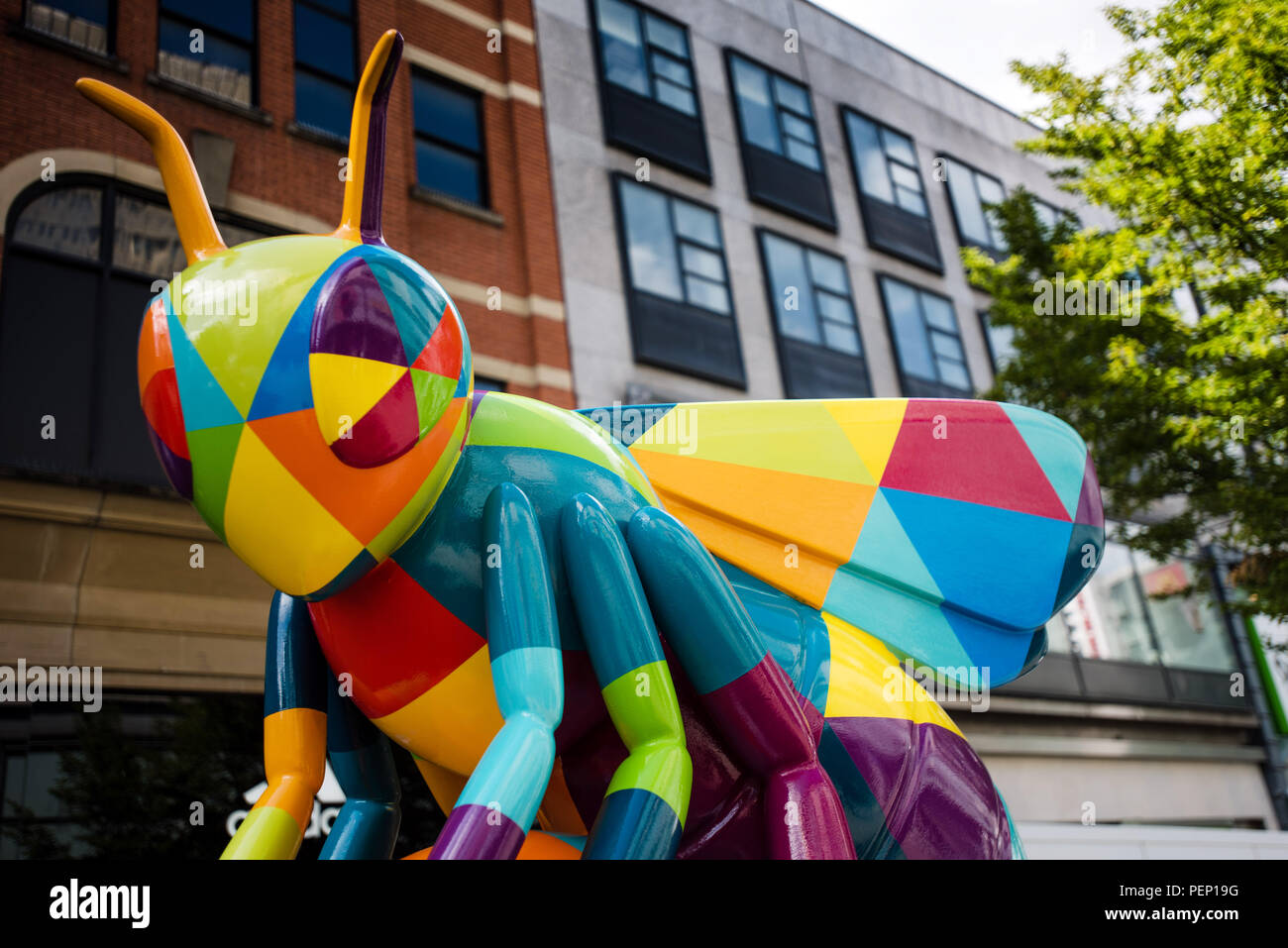 Bee in the City. Manchester. United Kingdom Stock Photo - Alamy