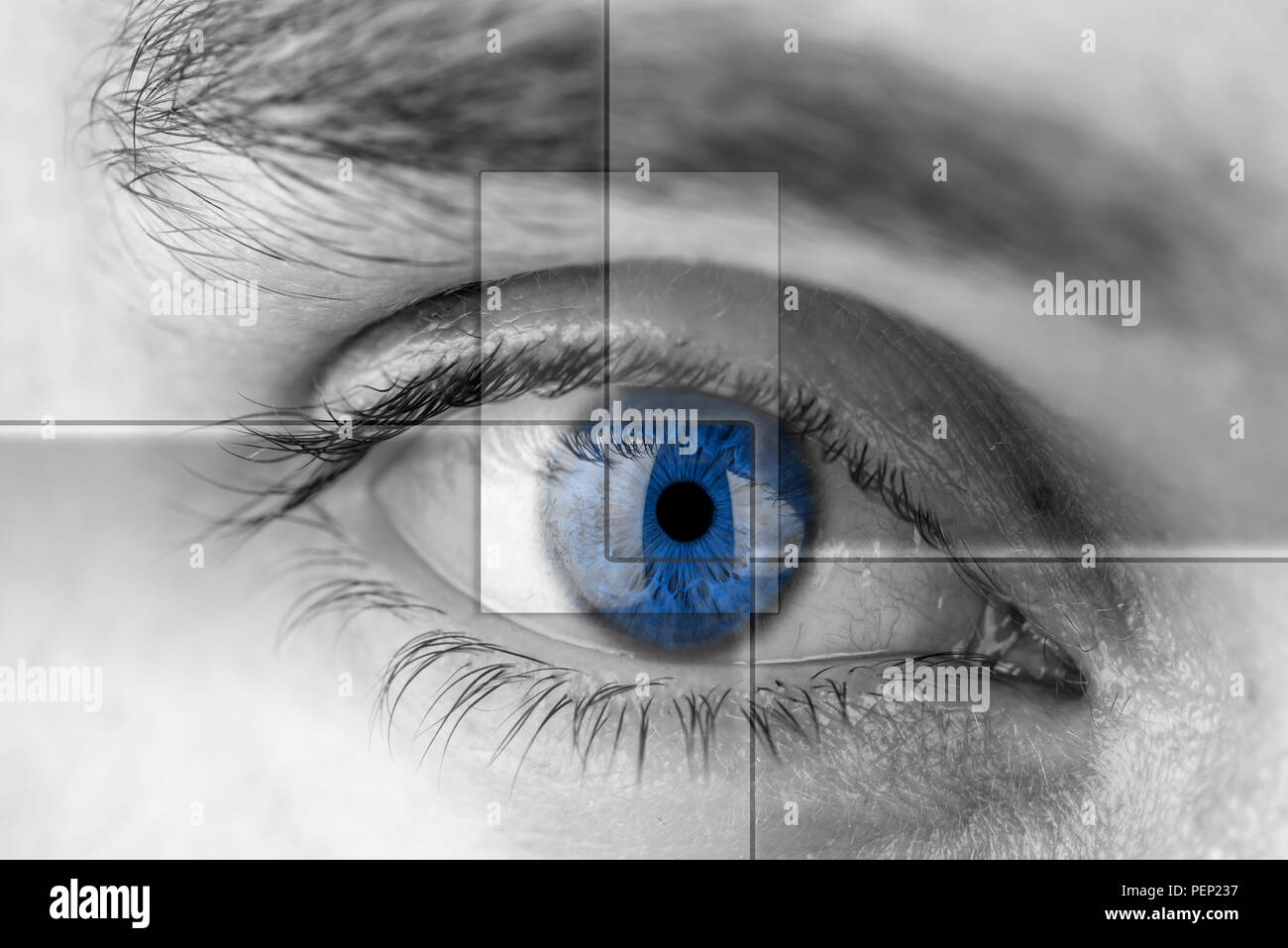Blue eye with virtual hologram. Medicine and vision concept Stock Photo ...