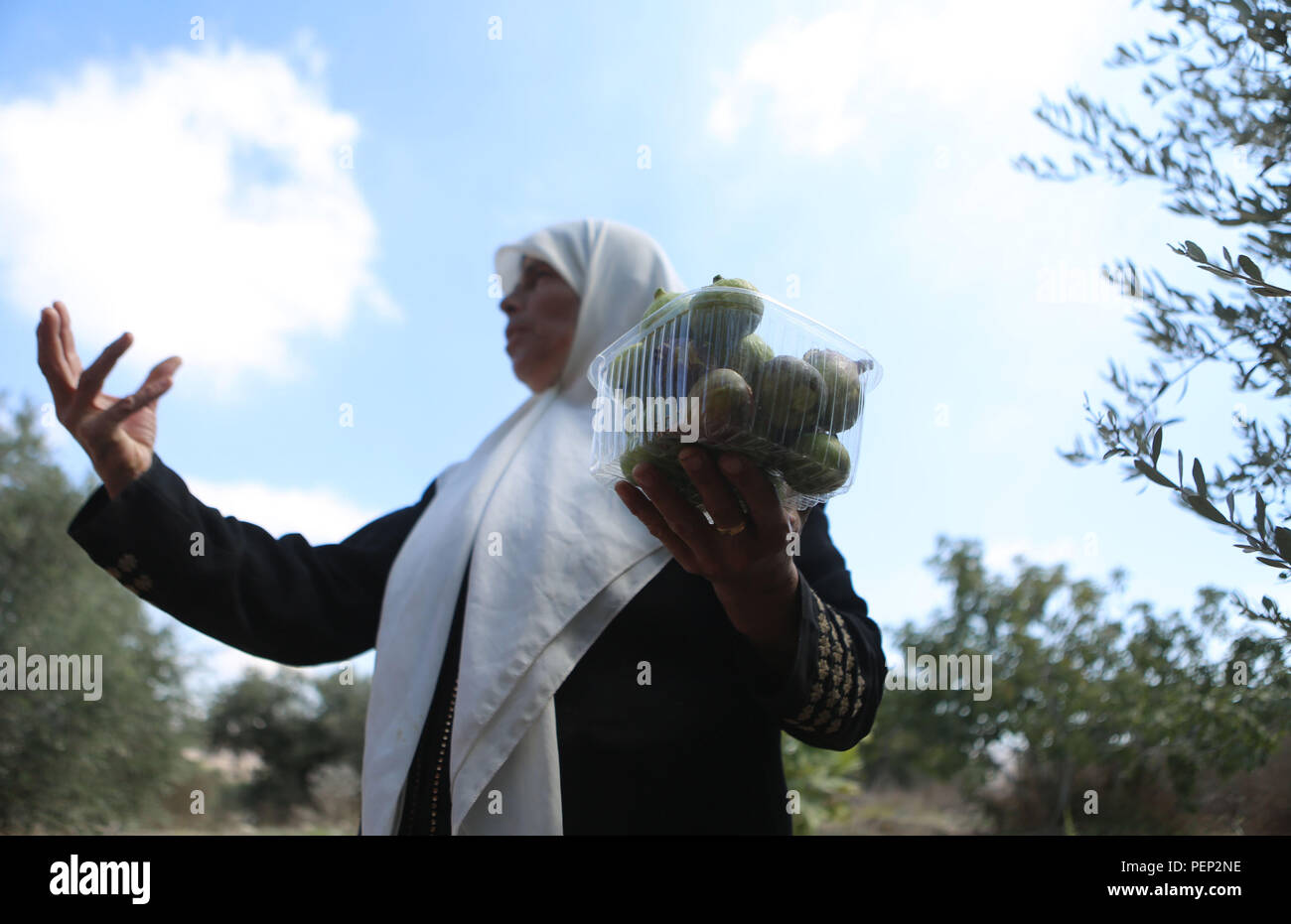 Figs jpg hi-res stock photography and images - Alamy