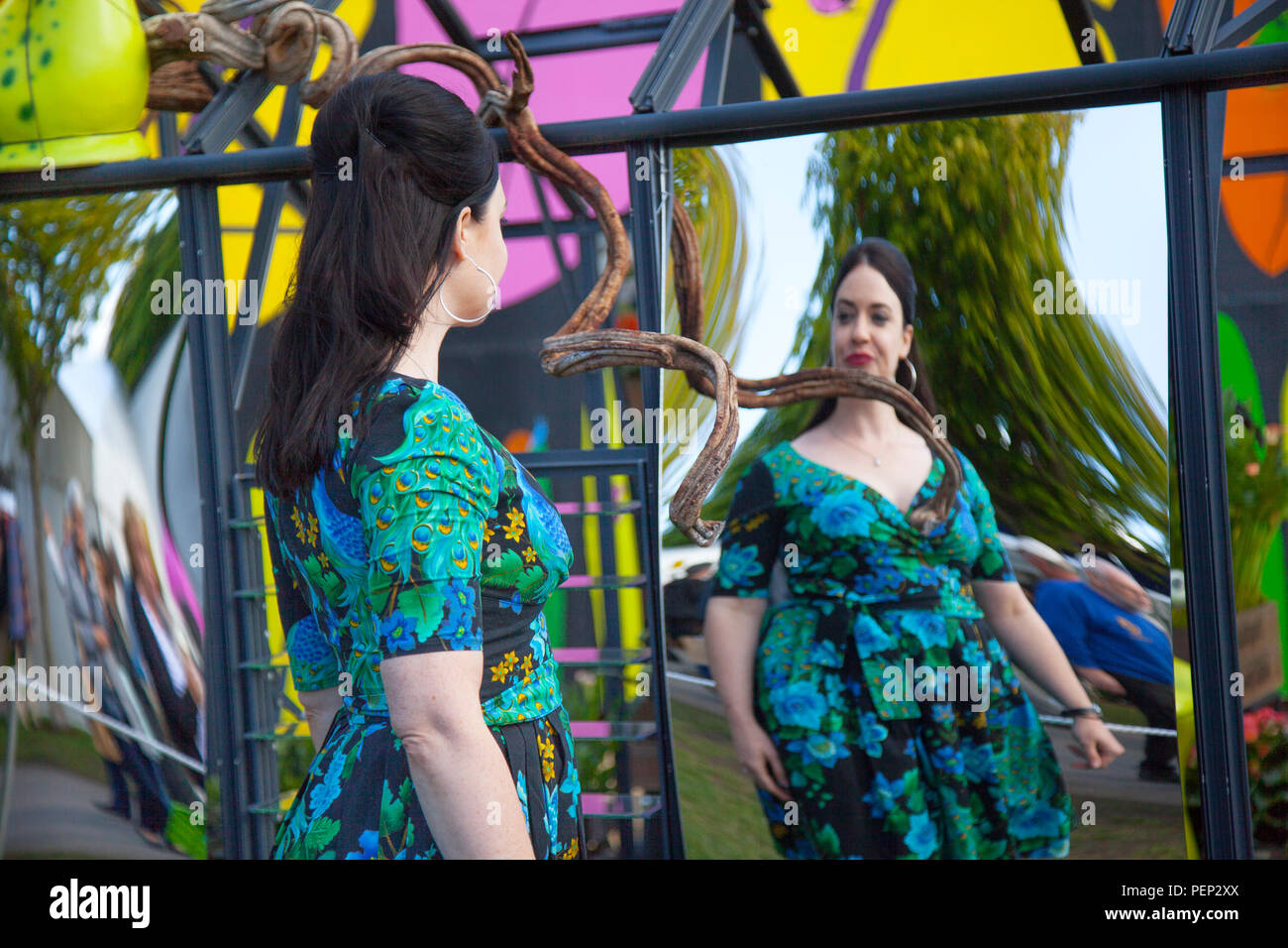 Curved reflection face distorted hi-res stock photography and images ...