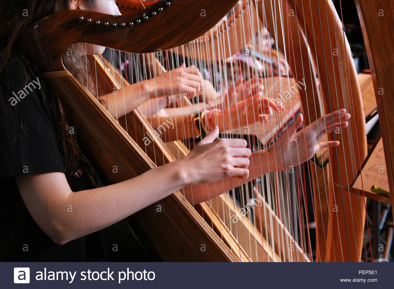 Harp national symbol of ireland hi-res stock photography and images - Alamy