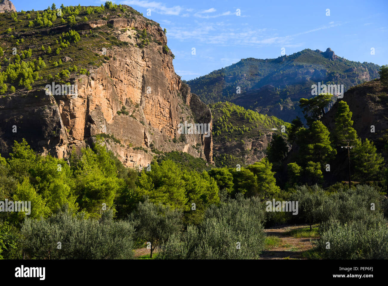 Kalavryta, Greece. 14th Aug, 2018. A view of Vouraikos Gorge during the ...