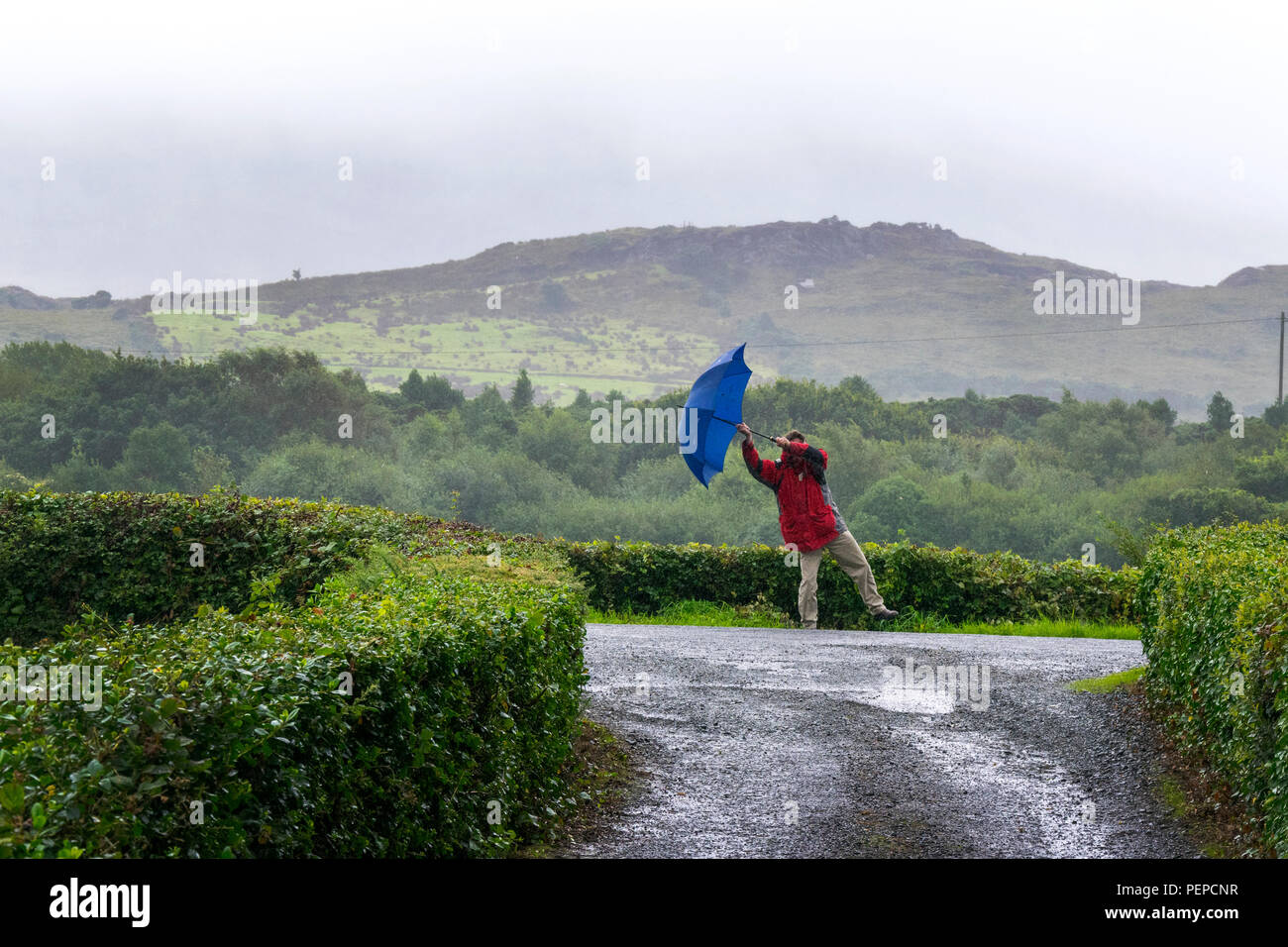 Windy rain hi-res stock photography and images - Alamy