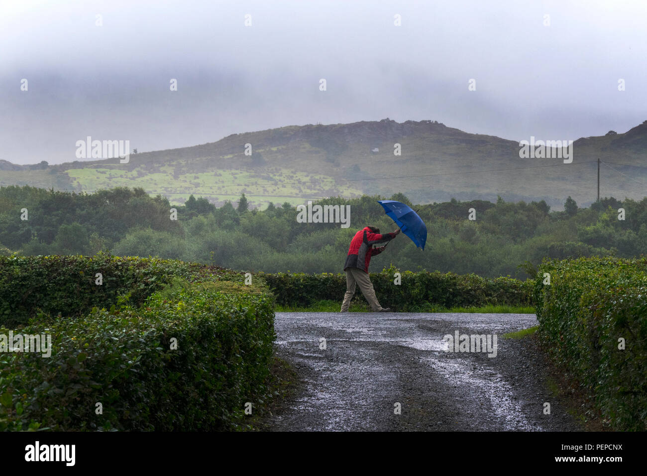 Windy rain hi-res stock photography and images - Alamy