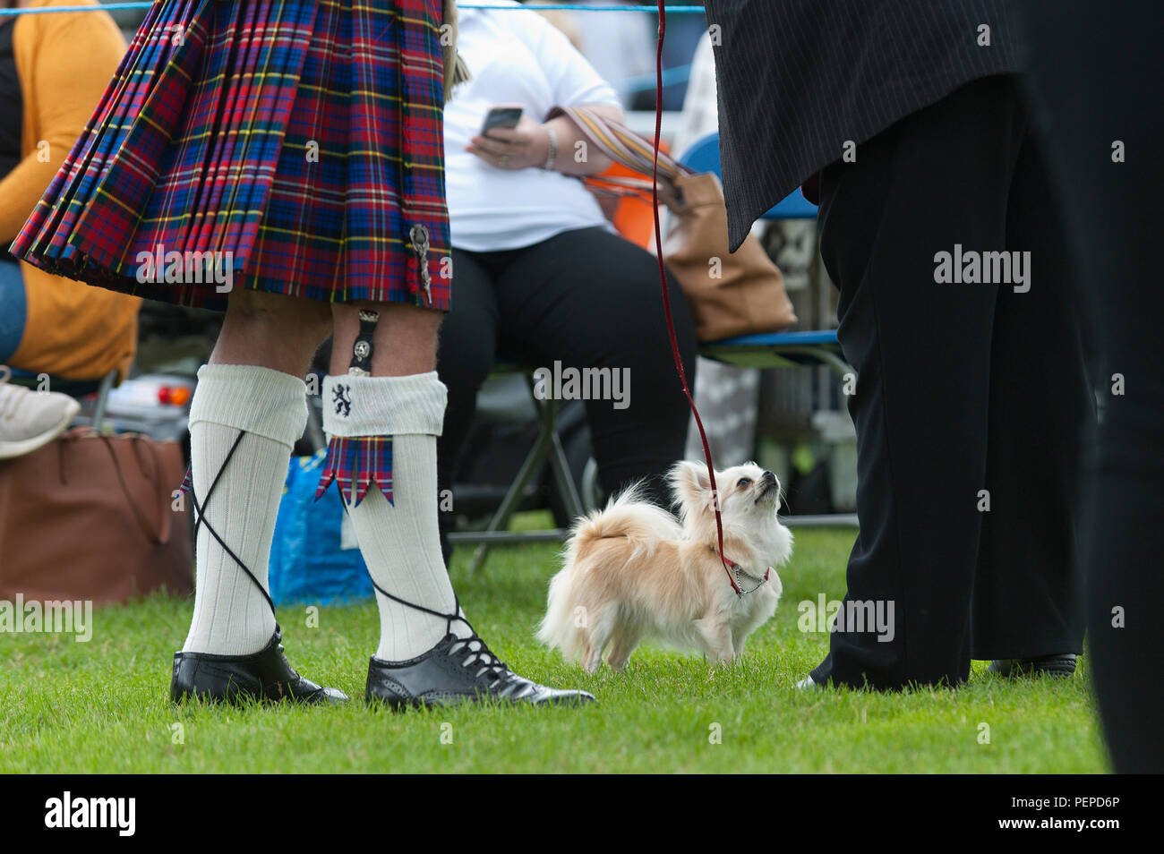 Welsh Kilt High Resolution Stock Photography and Images - Alamy