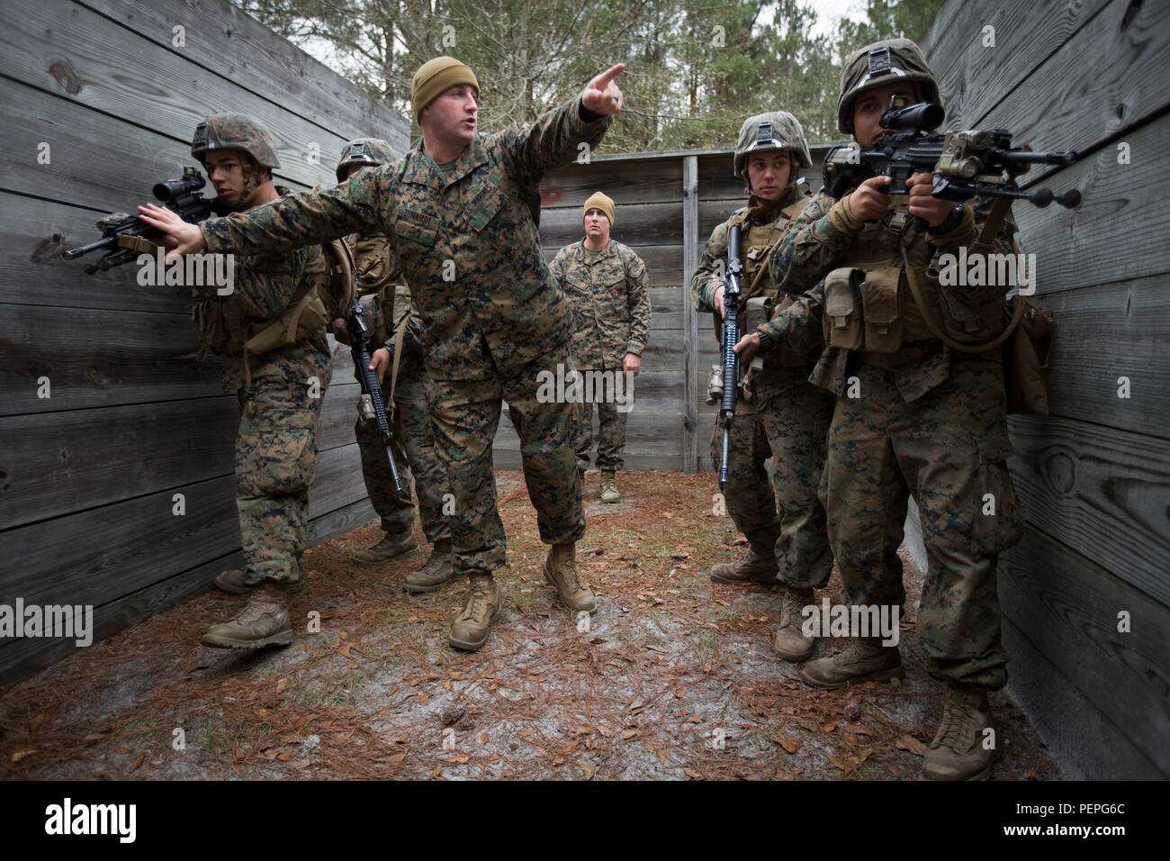 Dinardi High Resolution Stock Photography and Images - Alamy