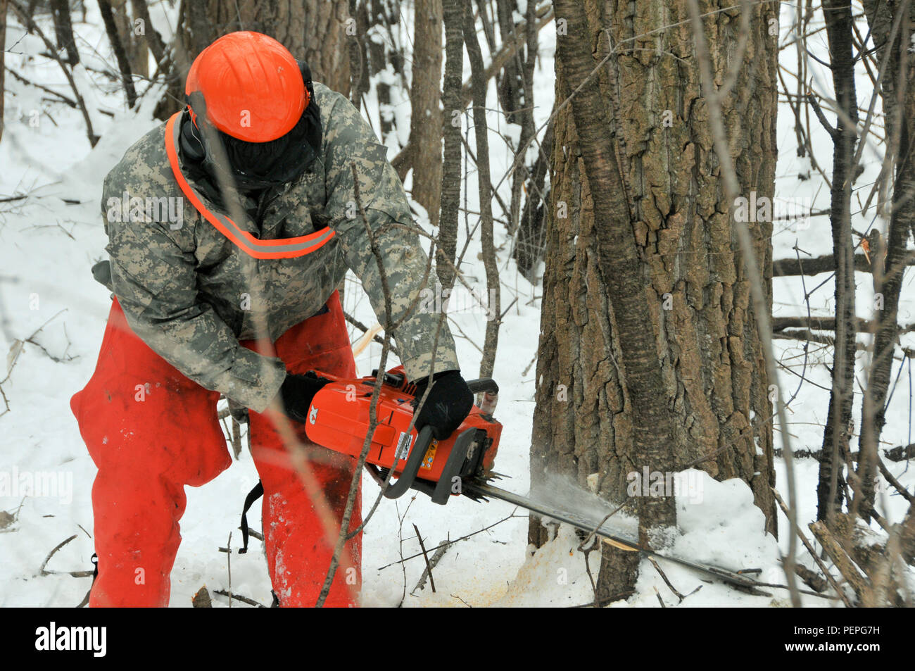 Soldiers with the 770th Engineer Company, 479th Engineer Battalion ...