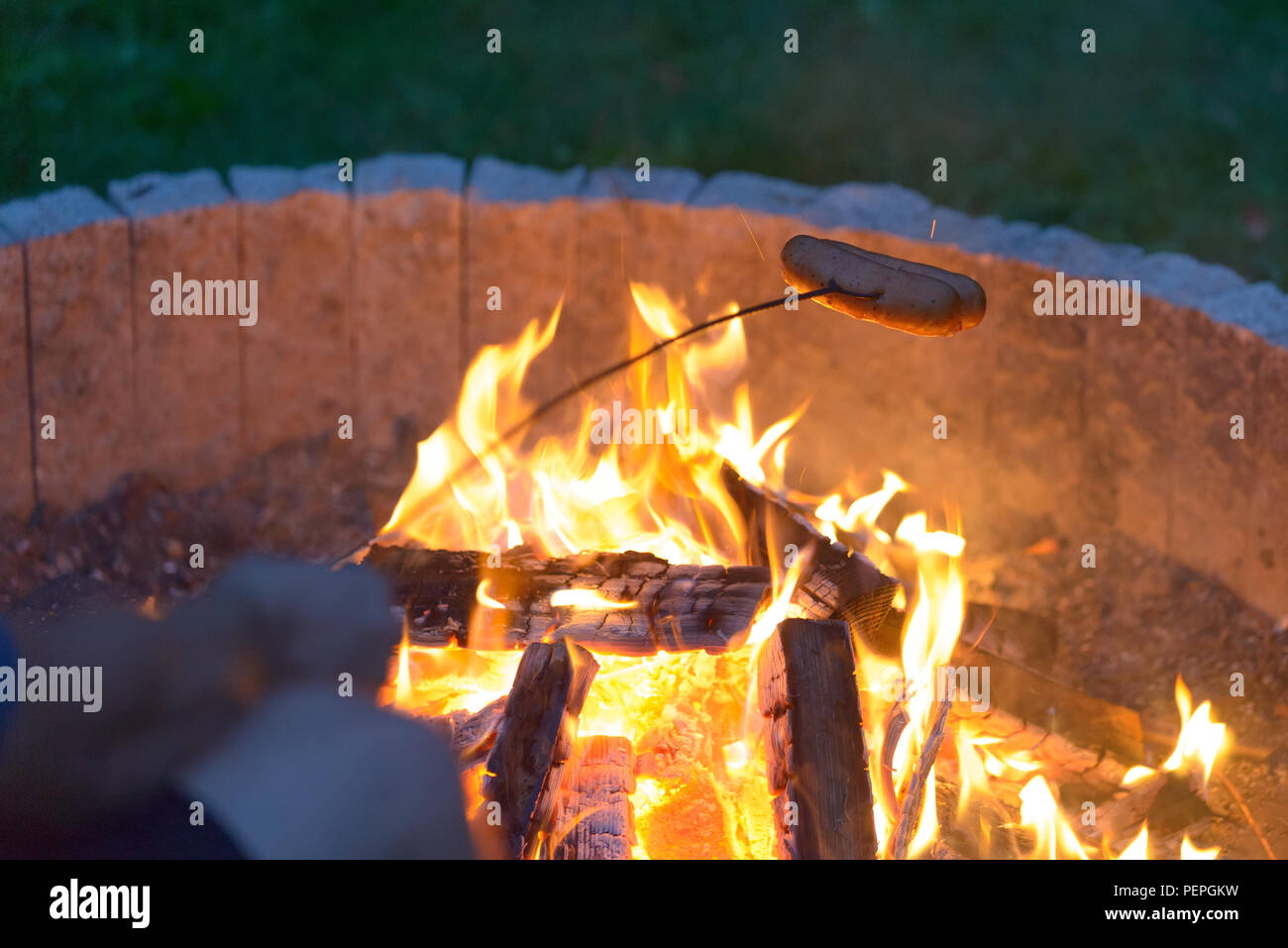 Roasting sausages on the fire. Summer picnic or camping concept Stock ...