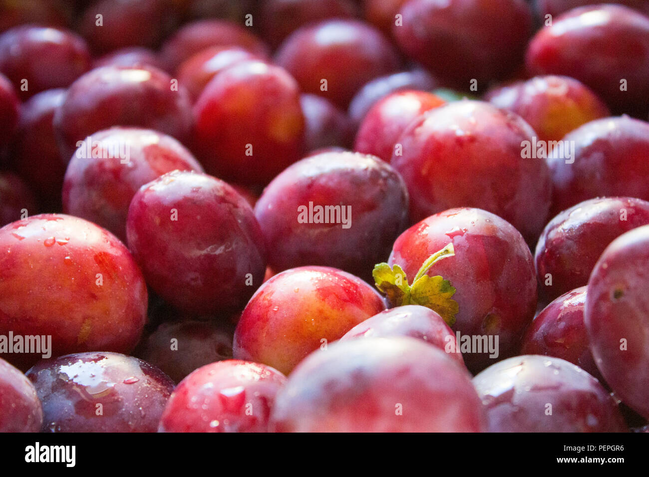 Plums pattern. correct and healthy eating. Vitamins Stock Photo - Alamy