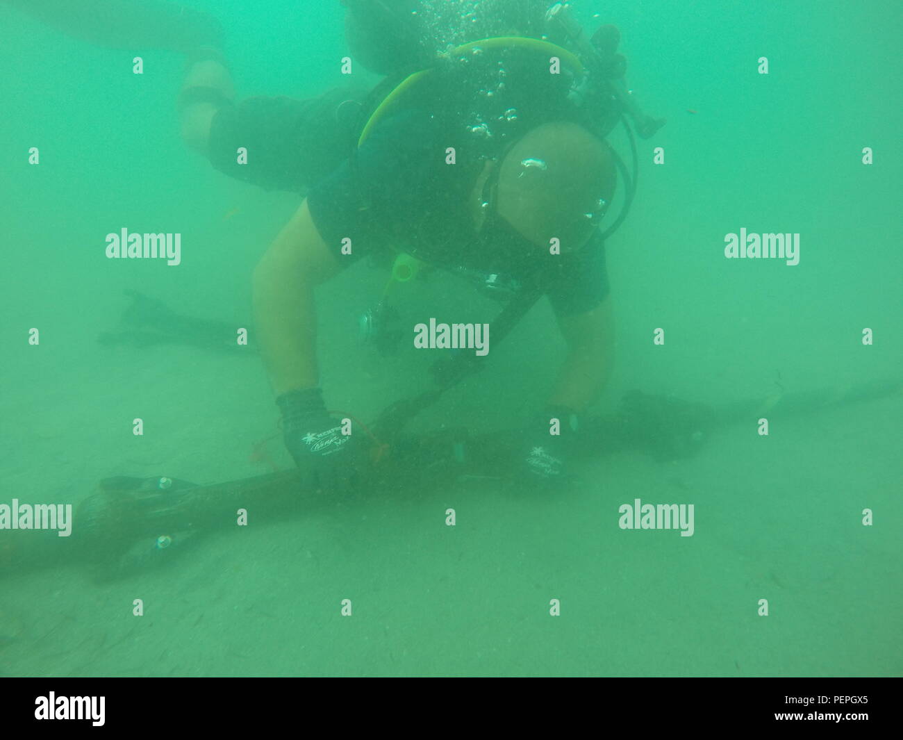 Fiber optic cable underwater hi-res stock photography and images - Alamy