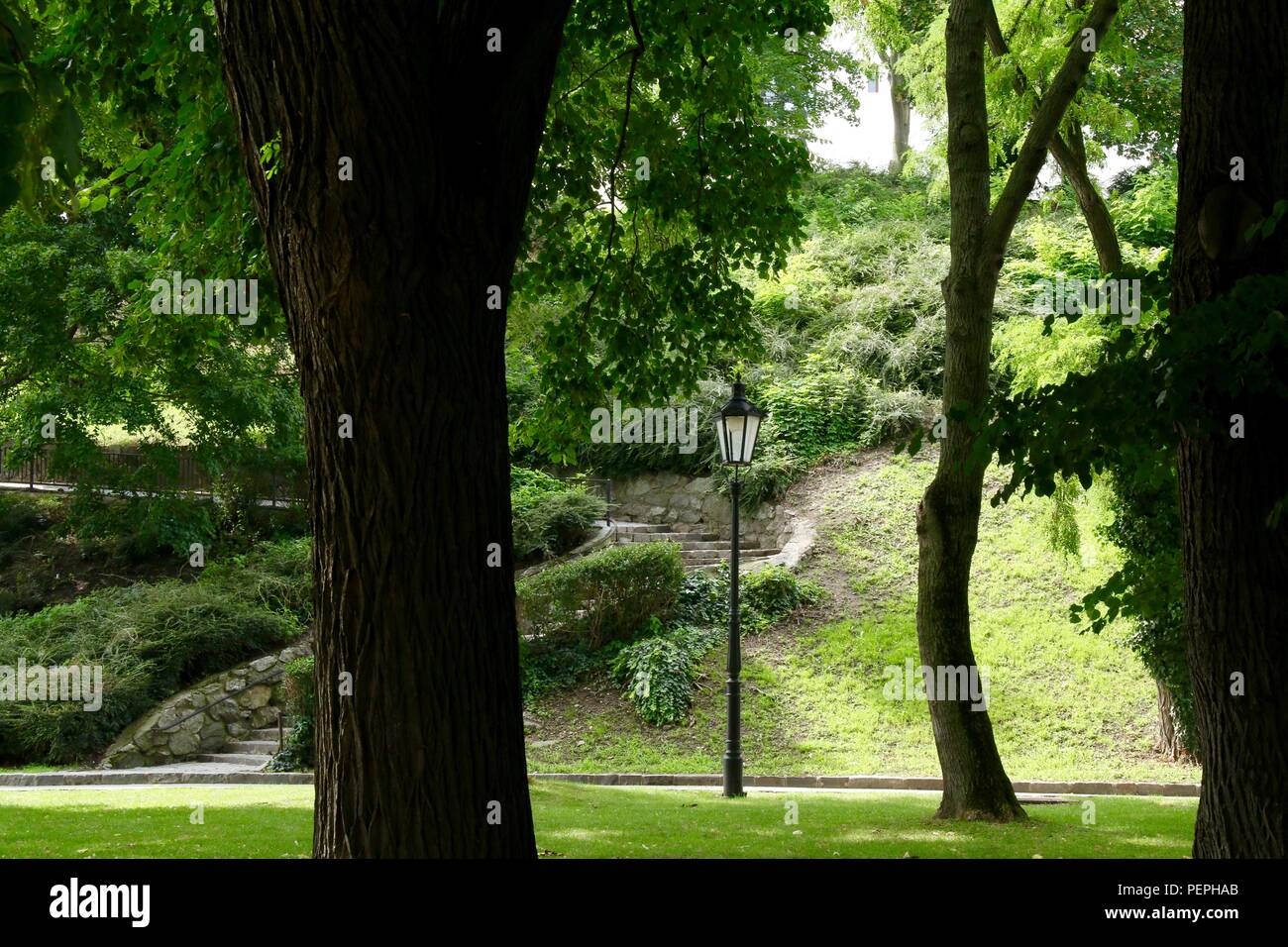 Lamp post tree and wall hi-res stock photography and images - Alamy