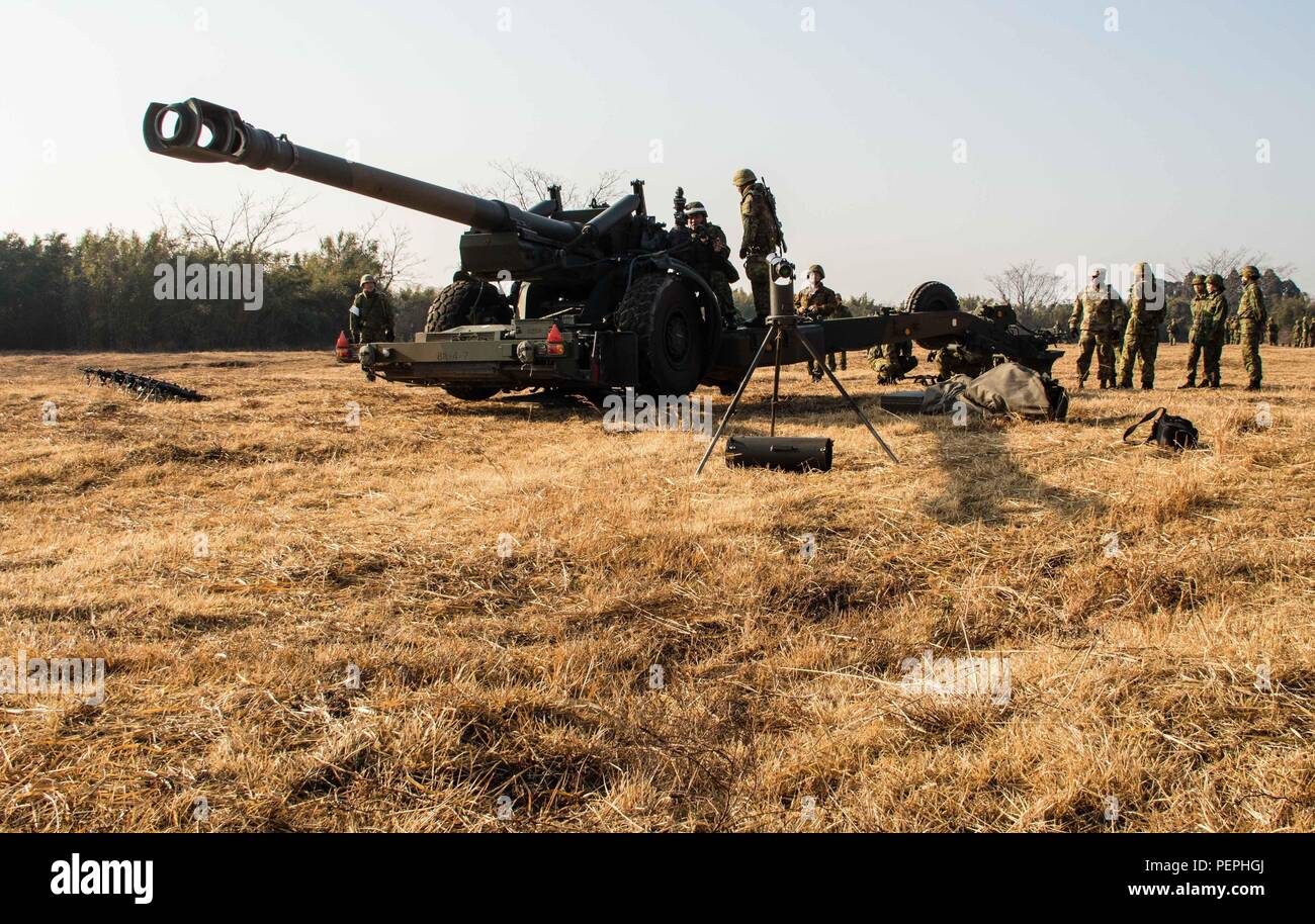 Active duty and Reserve Component Japan Ground Self-Defense Force ...